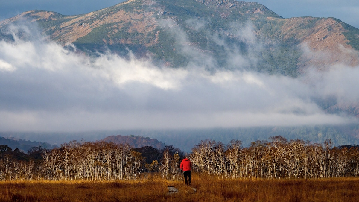 A nature-lover’s guide to slow train travel in Japan | National Geographic