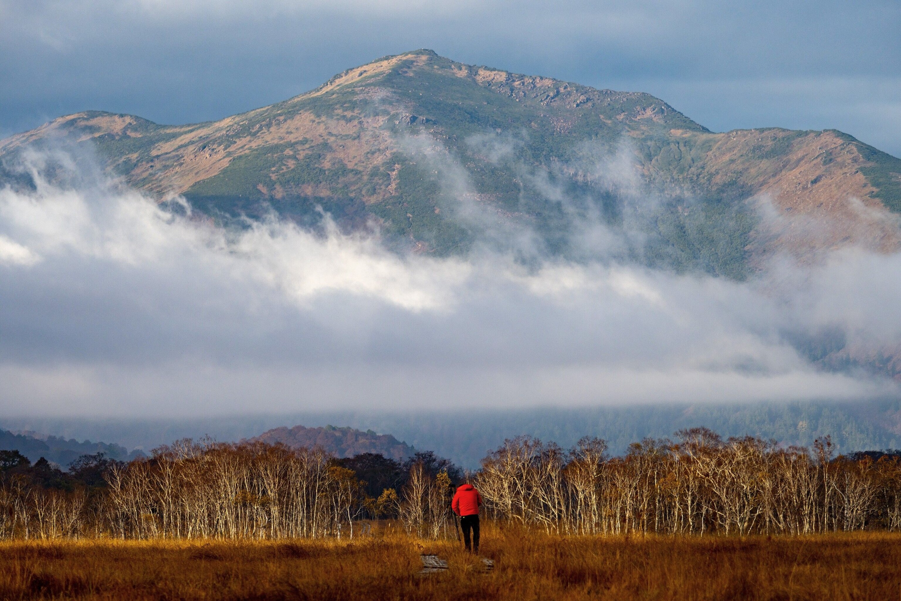 A nature-lover’s guide to slow train travel in Japan