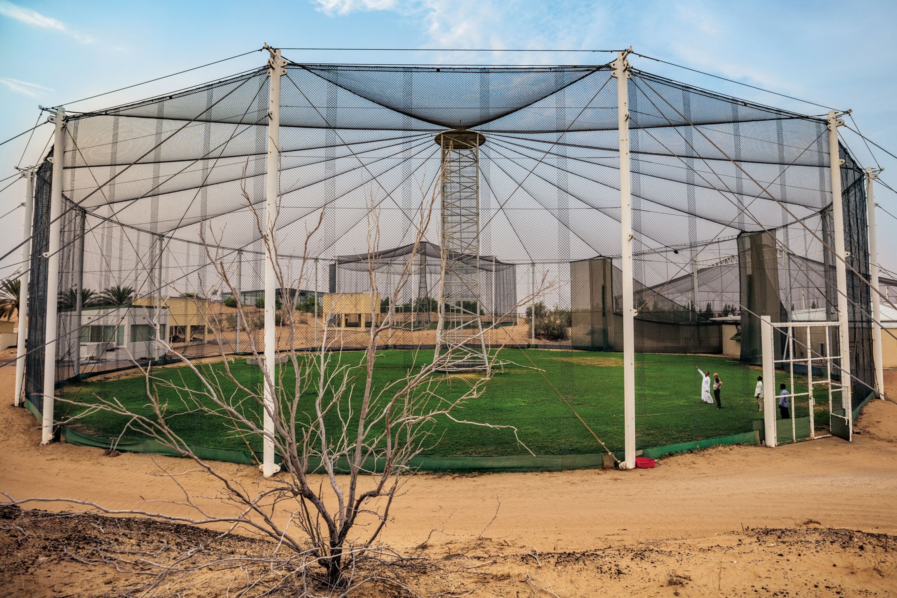 Falcons, the World's Fastest Animal, and a Sheikh's Plan to Protect Them