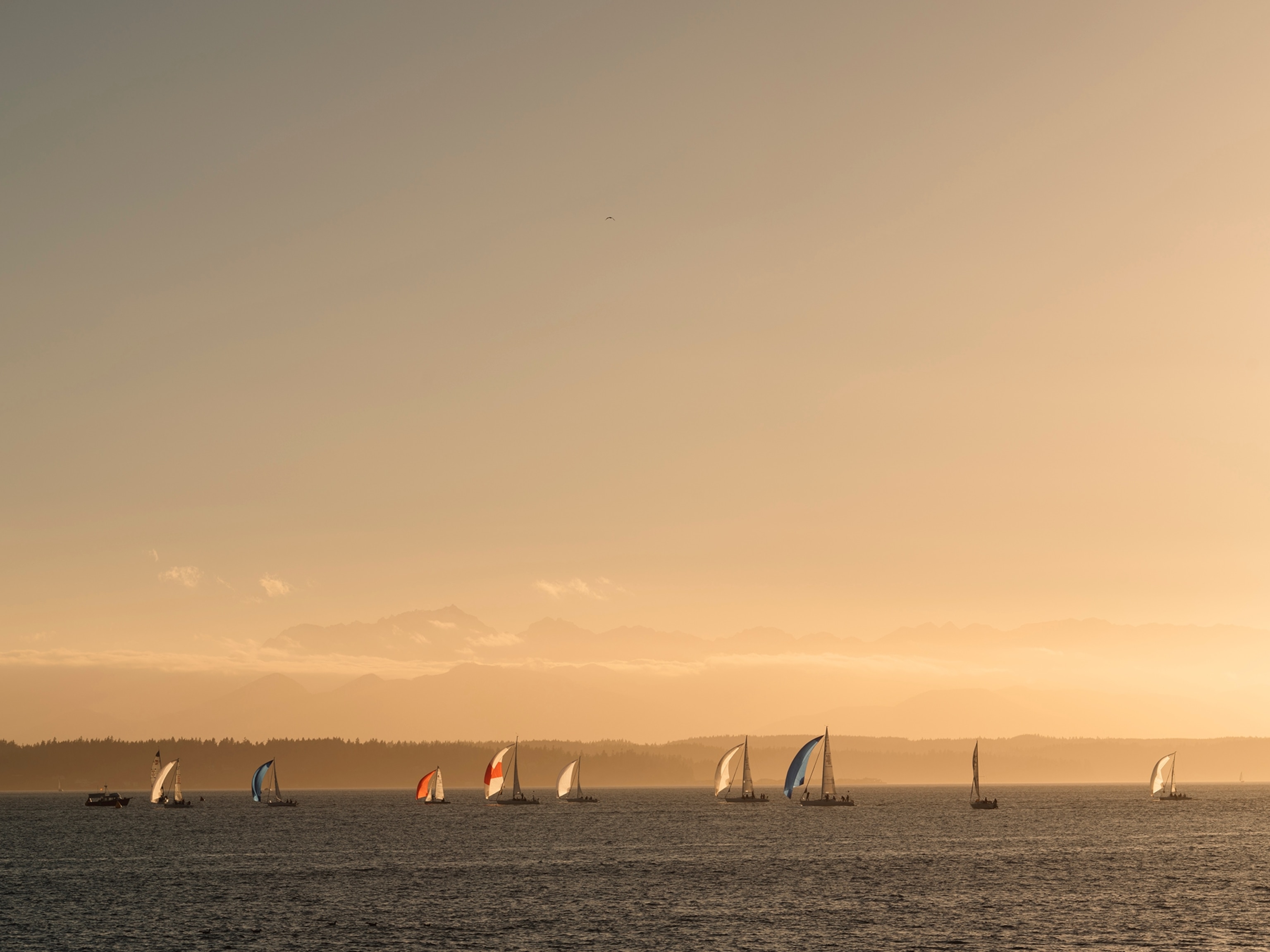 Beautiful Photos of Seattle's Boat Culture