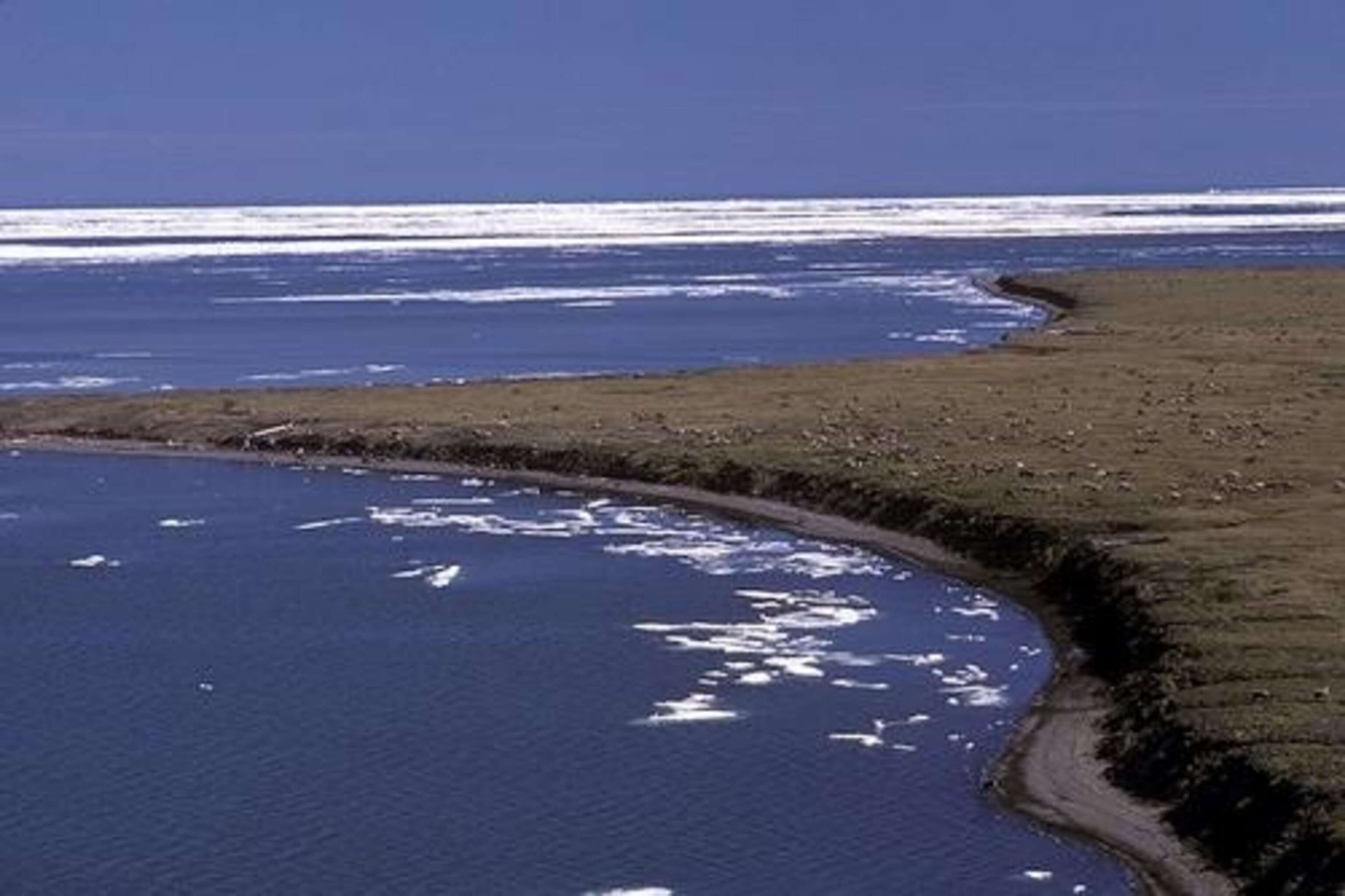 Shell’s Voser Talks About Food, Water, and Energy; Calls for Carbon ...