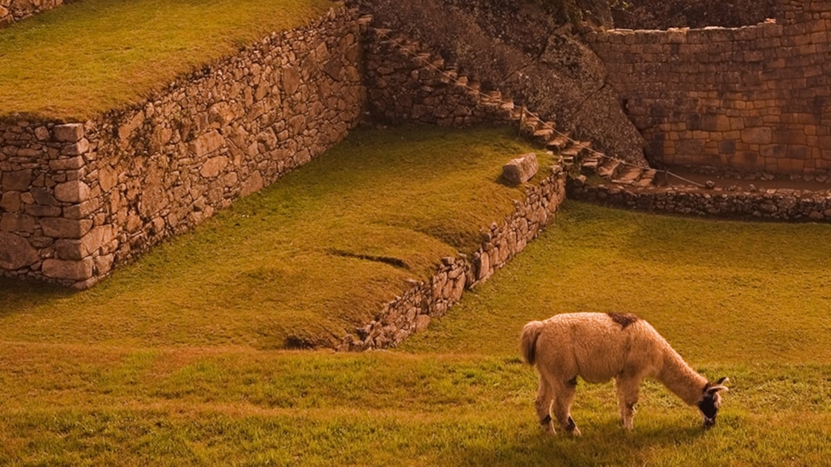 Go on a luxury rail journey through Peruvian mountains | National ...