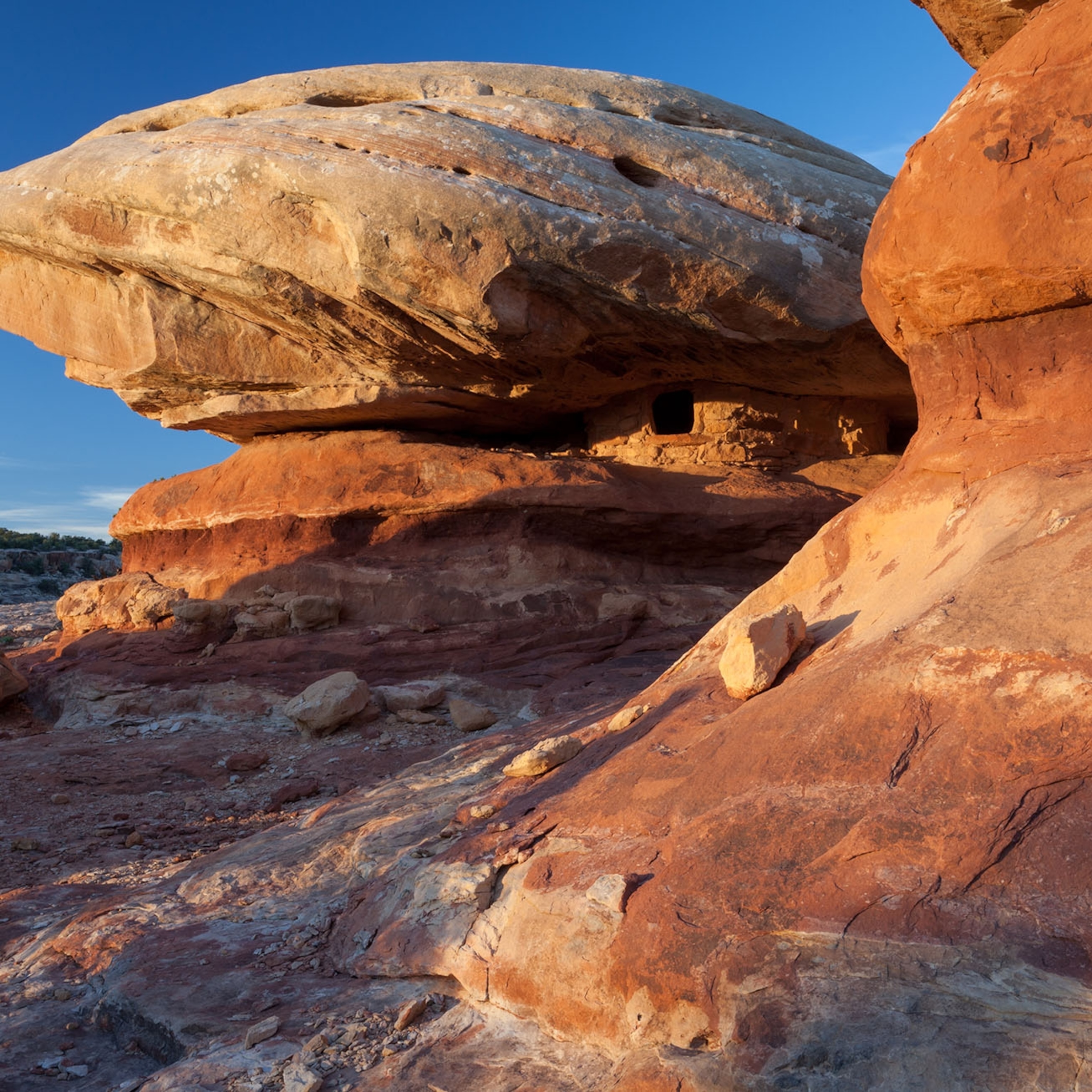 Are Dogs Allowed In Bears Ears National Monument