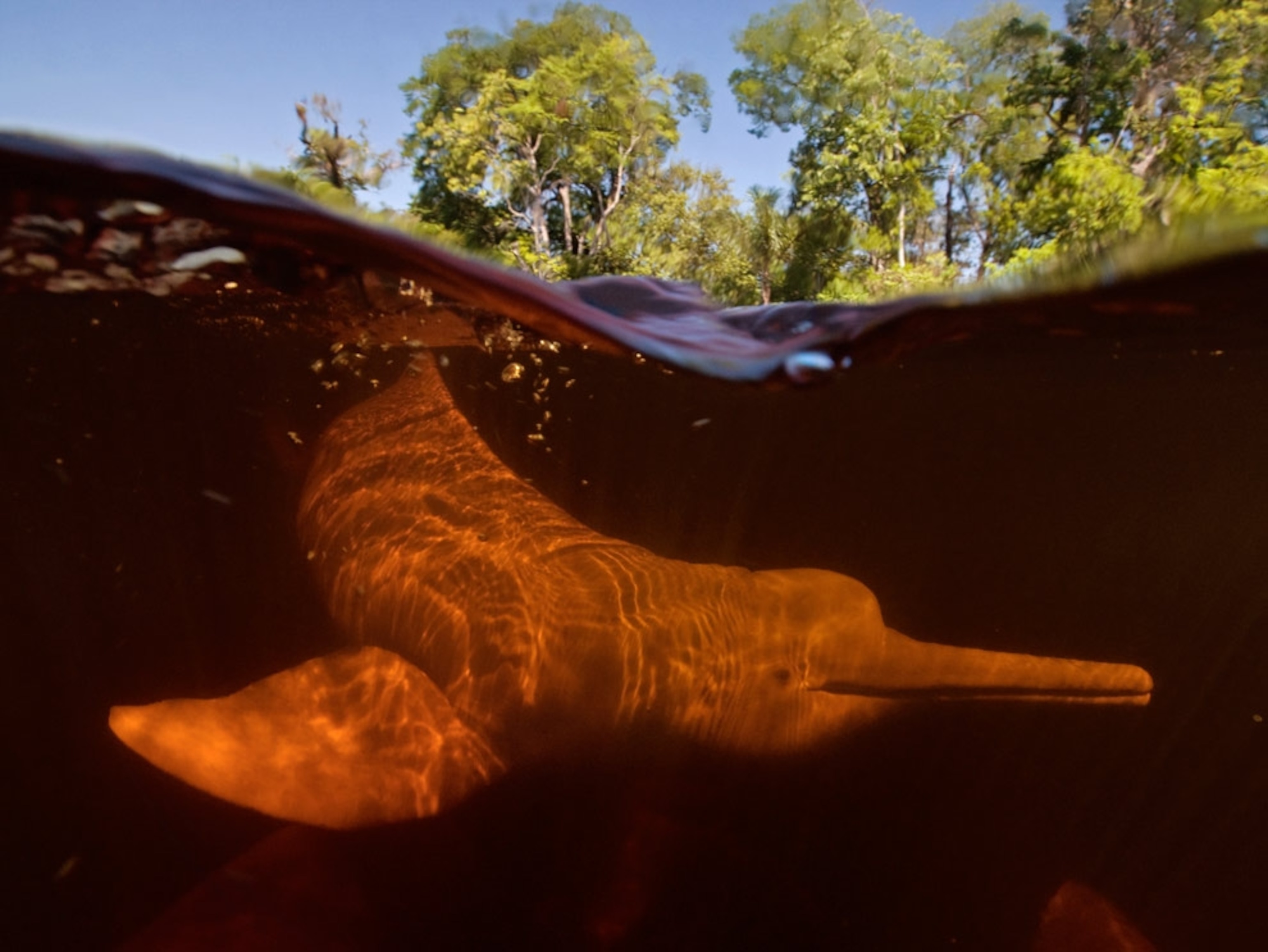Brazil Photos -- National Geographic