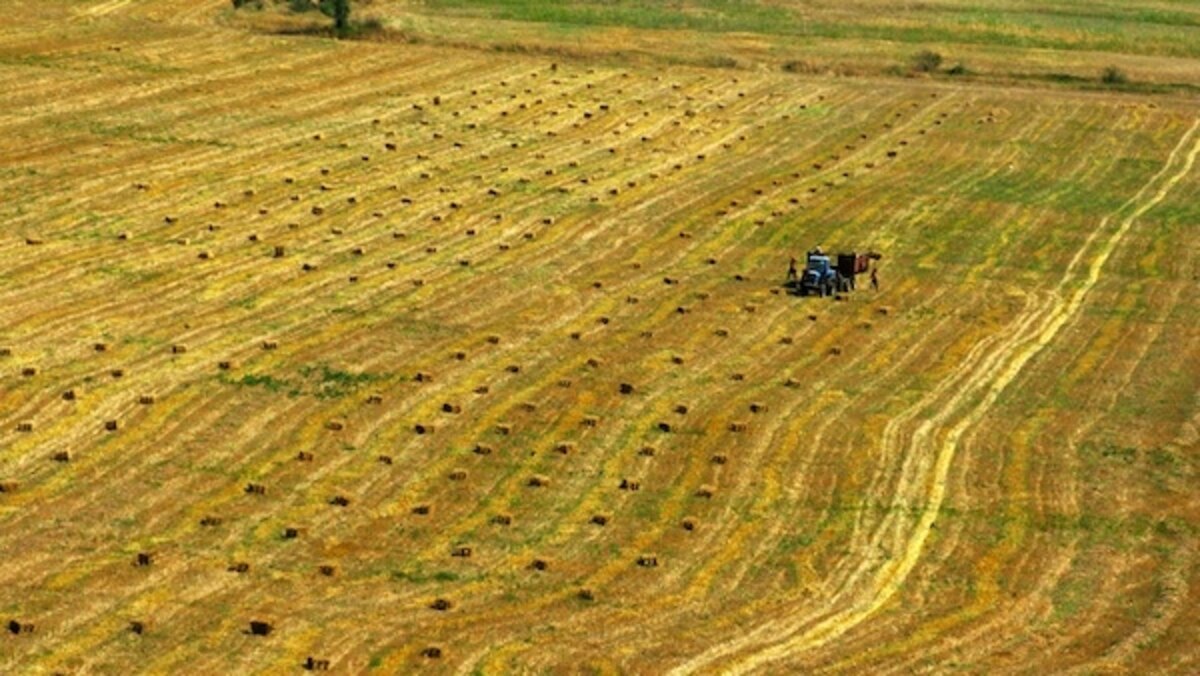 Why China Wants (and Needs) Foreign Farm Land | National Geographic