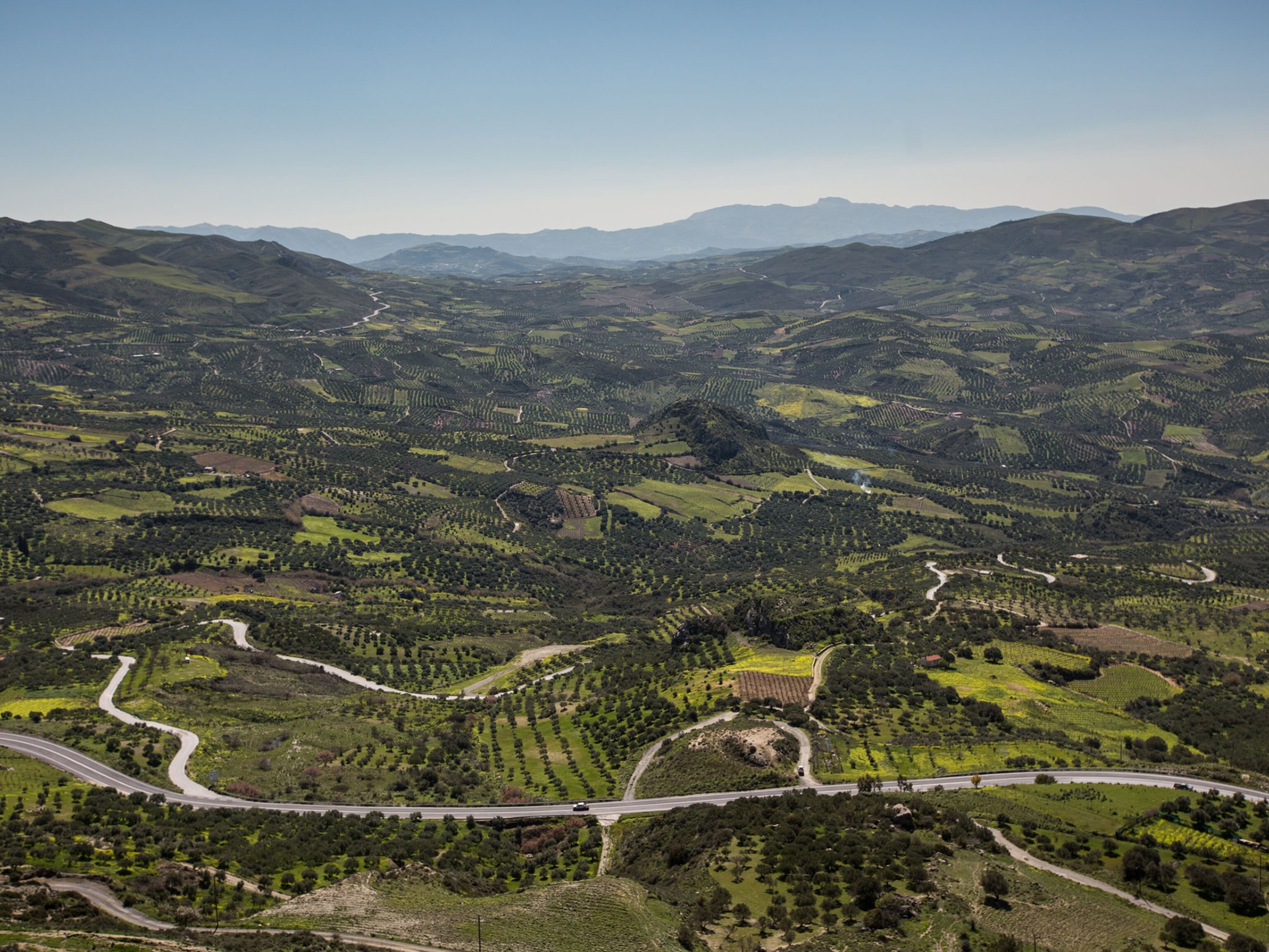 We Are What We Eat: Spring in Crete Means a Feast of Wild Greens