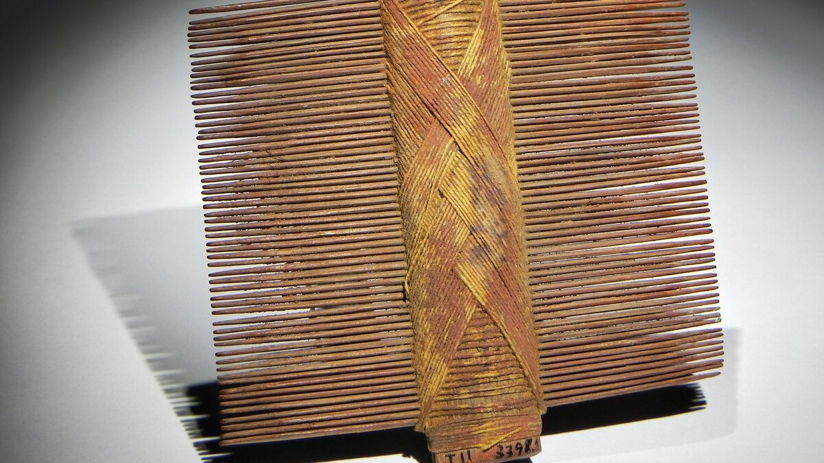 Scientists Discover Ancient De-Licing Combs | National Geographic