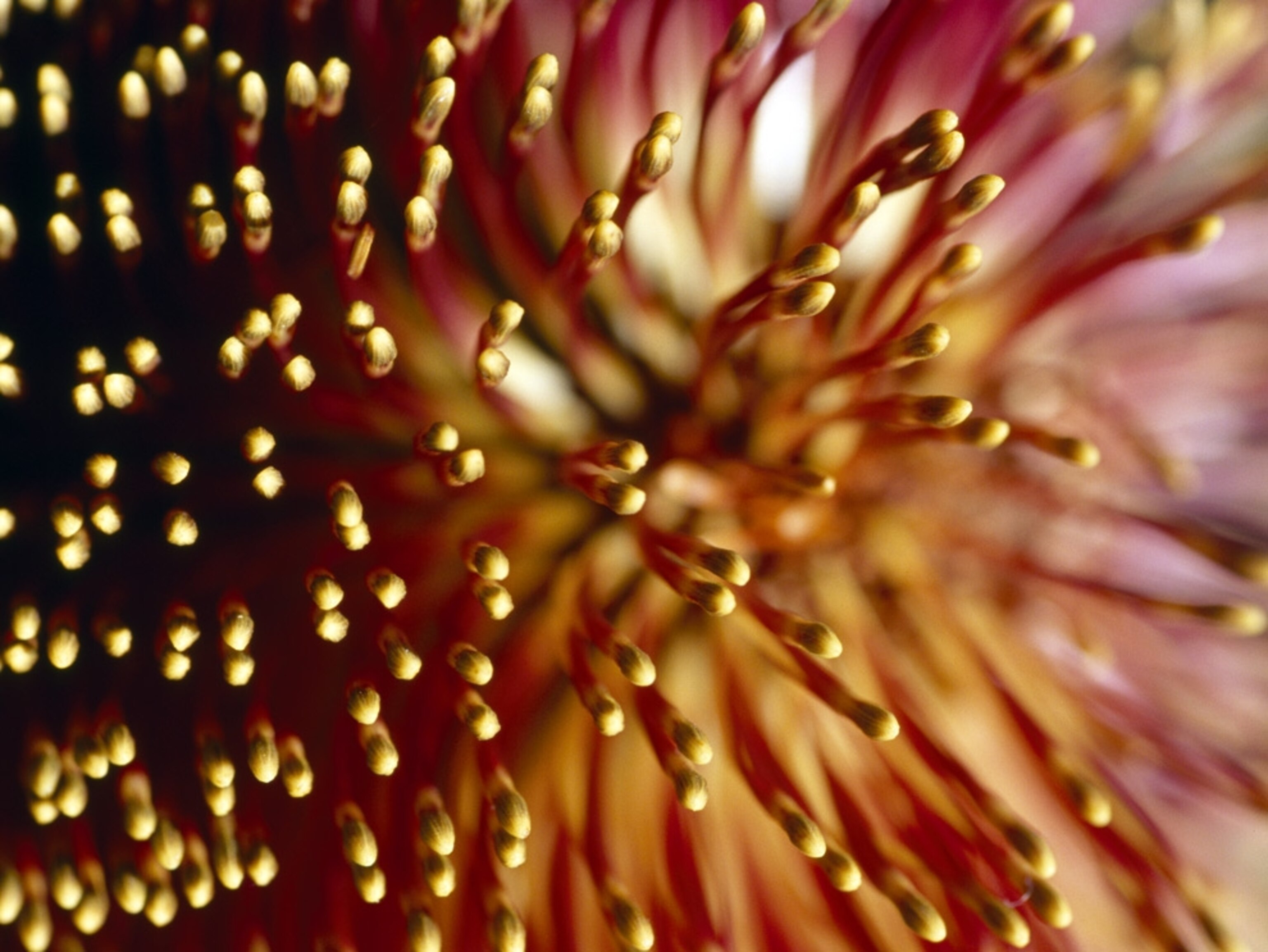 Mysterious Earth Pattern Pictures, Mysterious Earth Pattern Photos ...