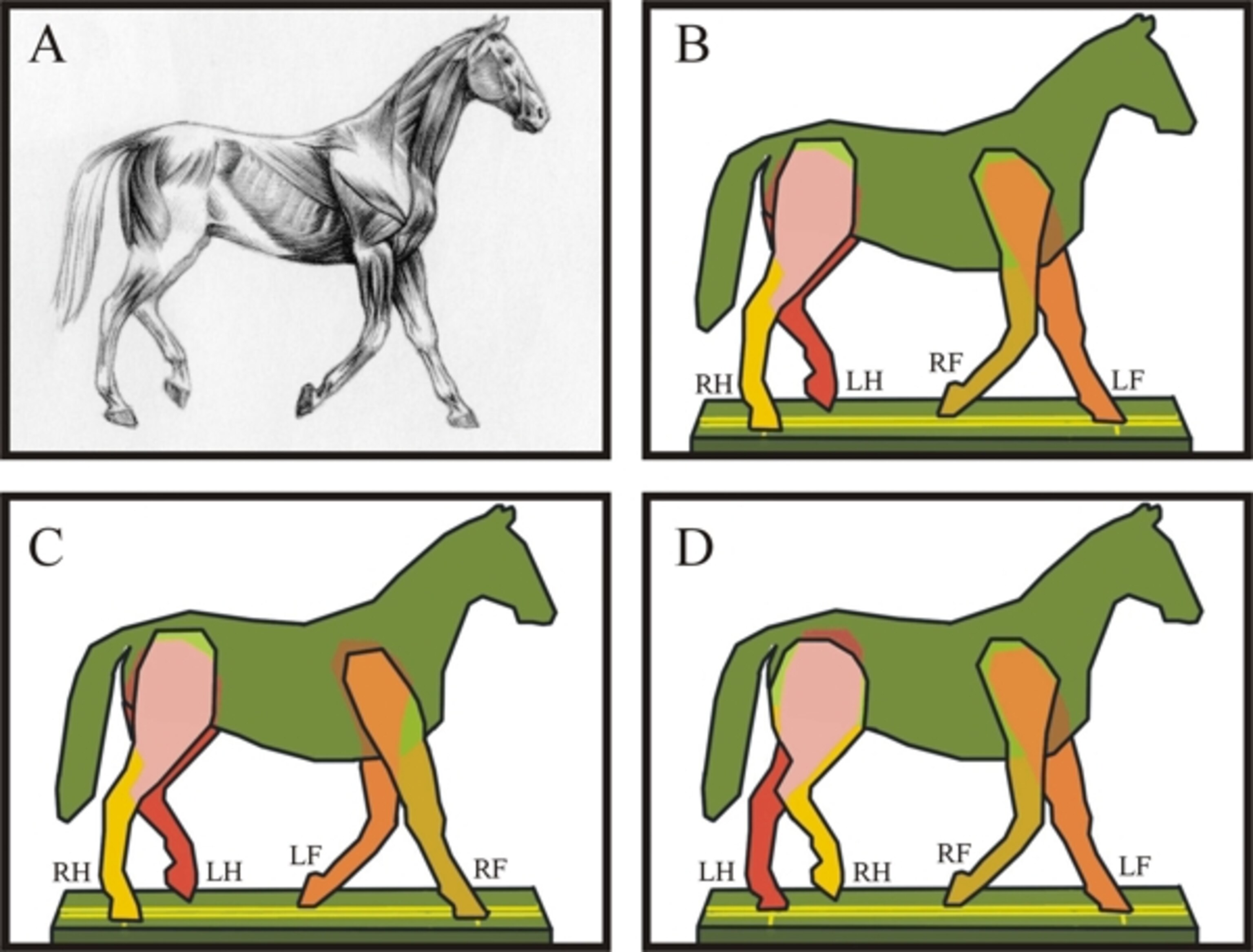 The Flesh of Physics | National Geographic
