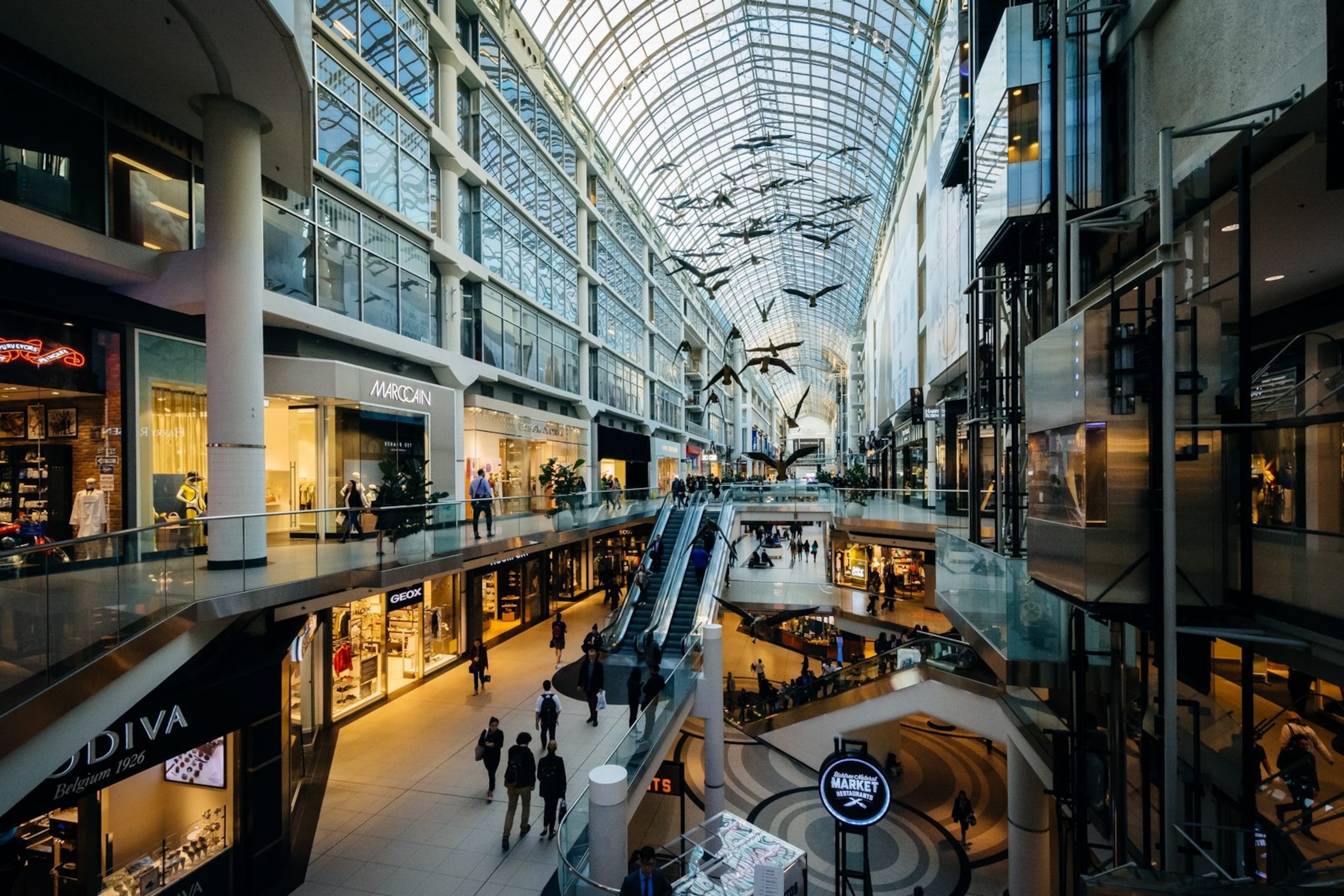 10 Local Things and Activities to do in Toronto, Canada