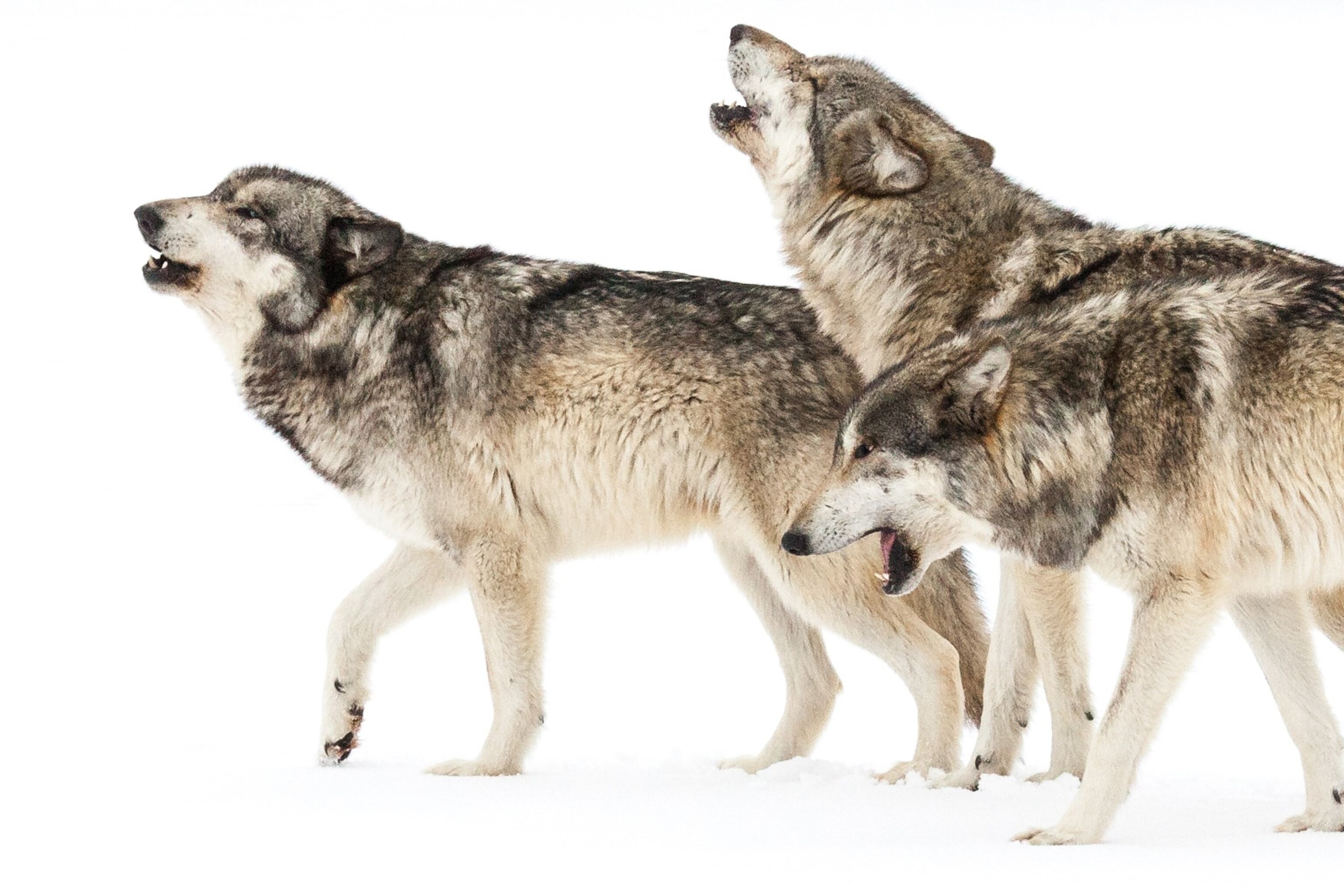 Photo of the Day: Best of February 2014