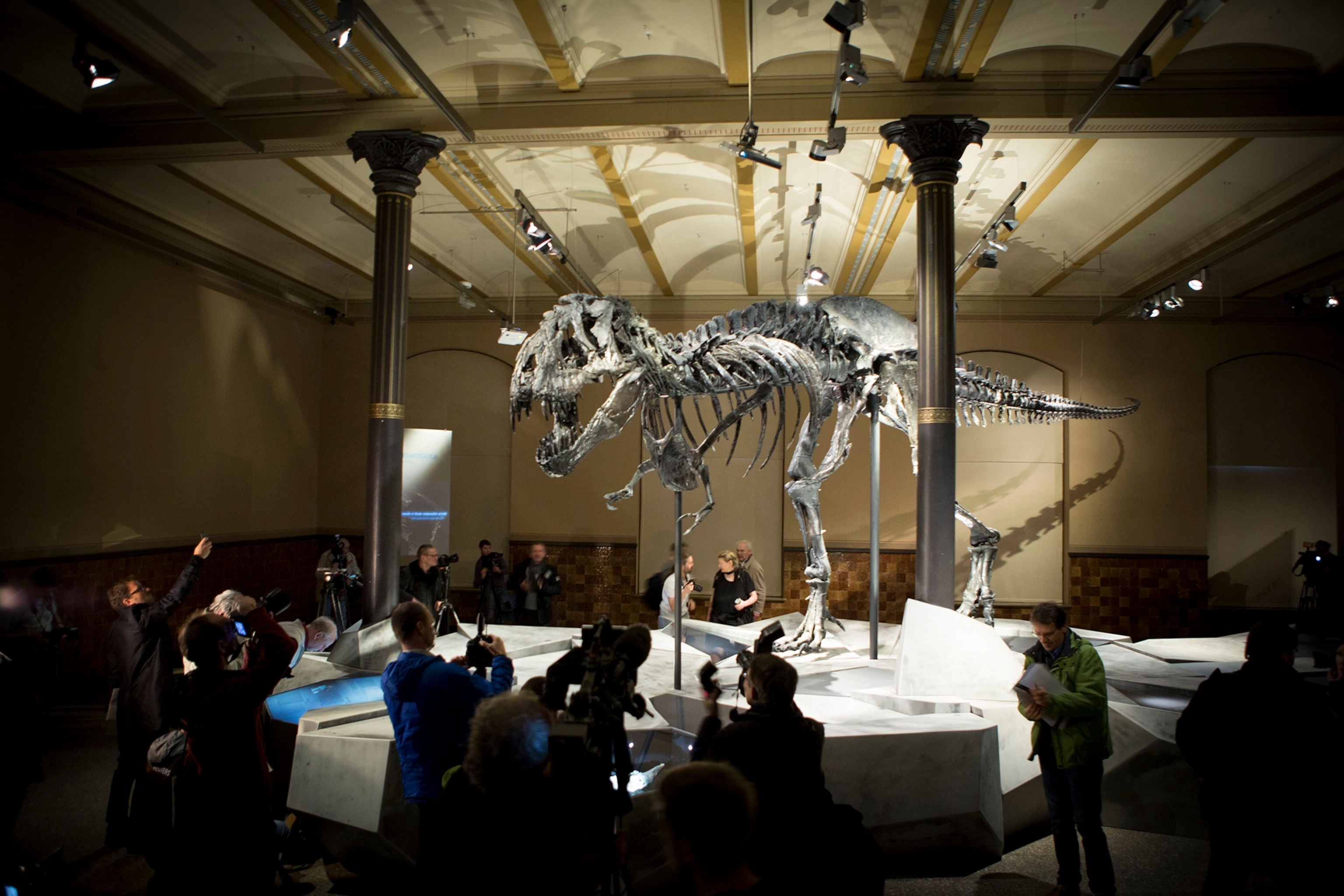 Here’s What Happened the Day the Dinosaurs Died