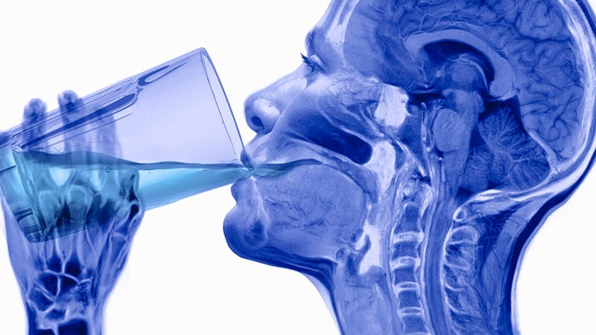 Hugh Turvey: Inside the Life of an X-Ray Artist | National Geographic