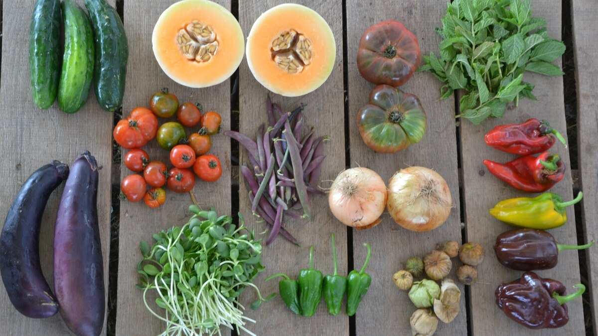 My Monthly Subscription to Fresh Food | National Geographic