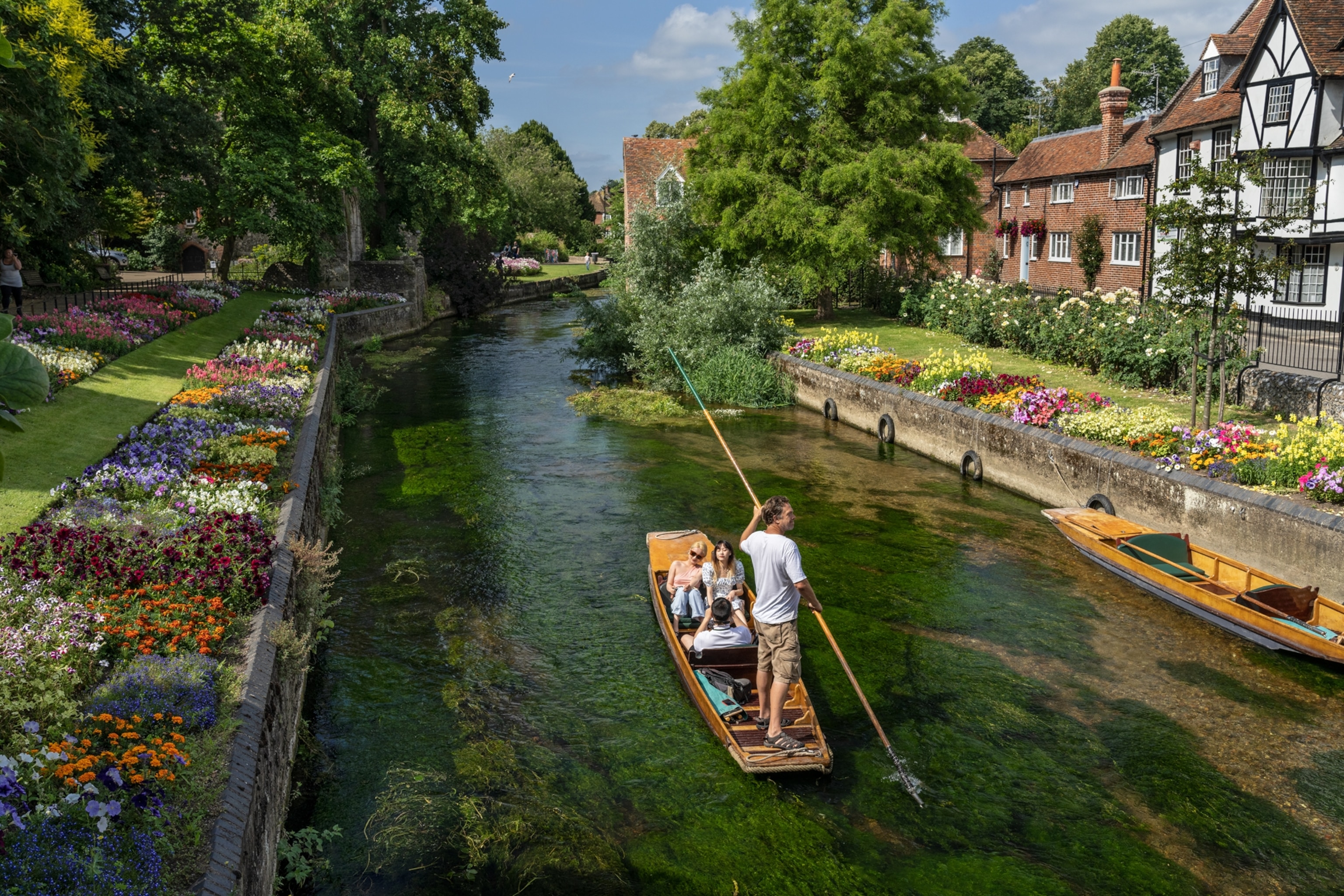 England’s chalk streams were millions of years in the making. Can they ...