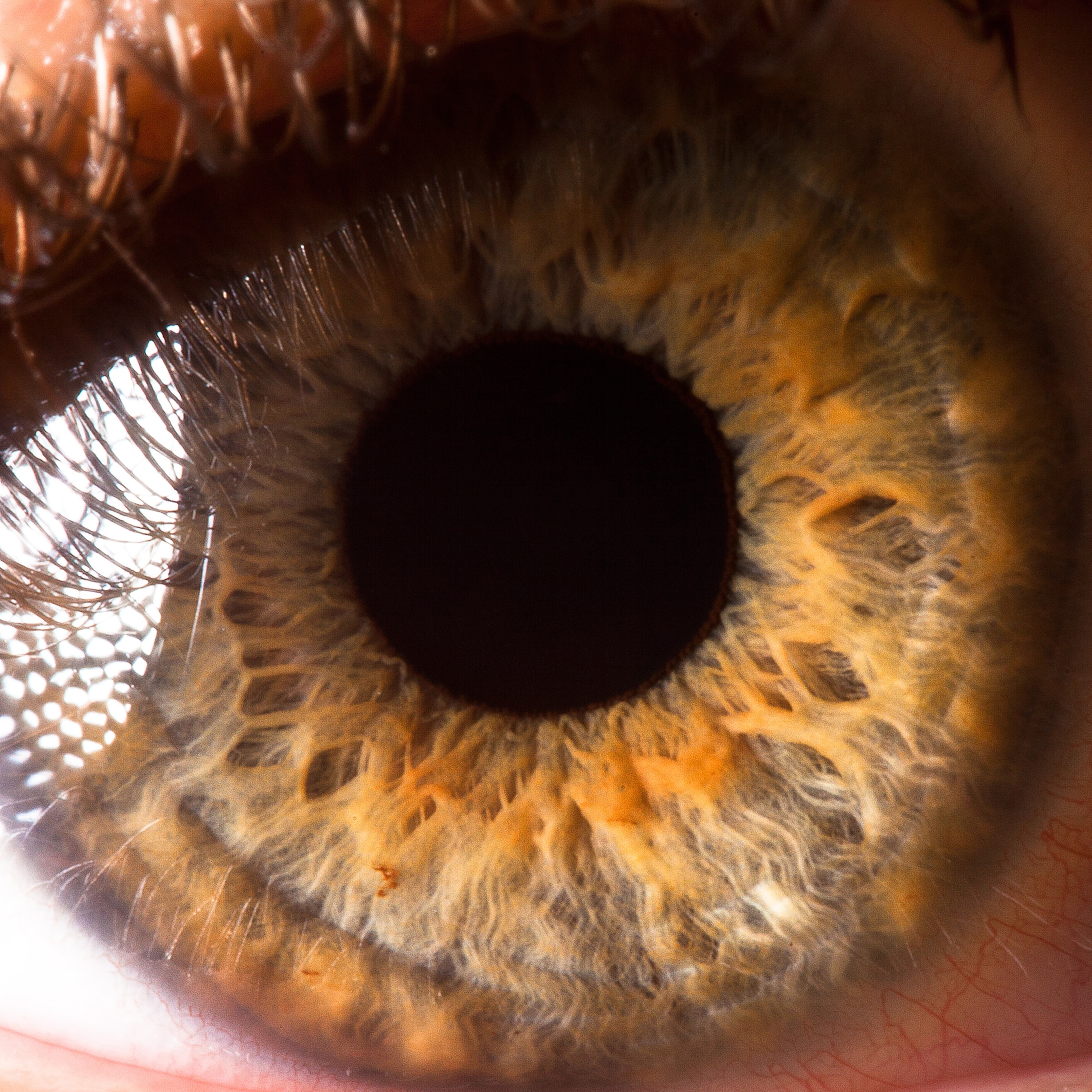 Pi Day Pictures: Nature's Near-Perfect Circles