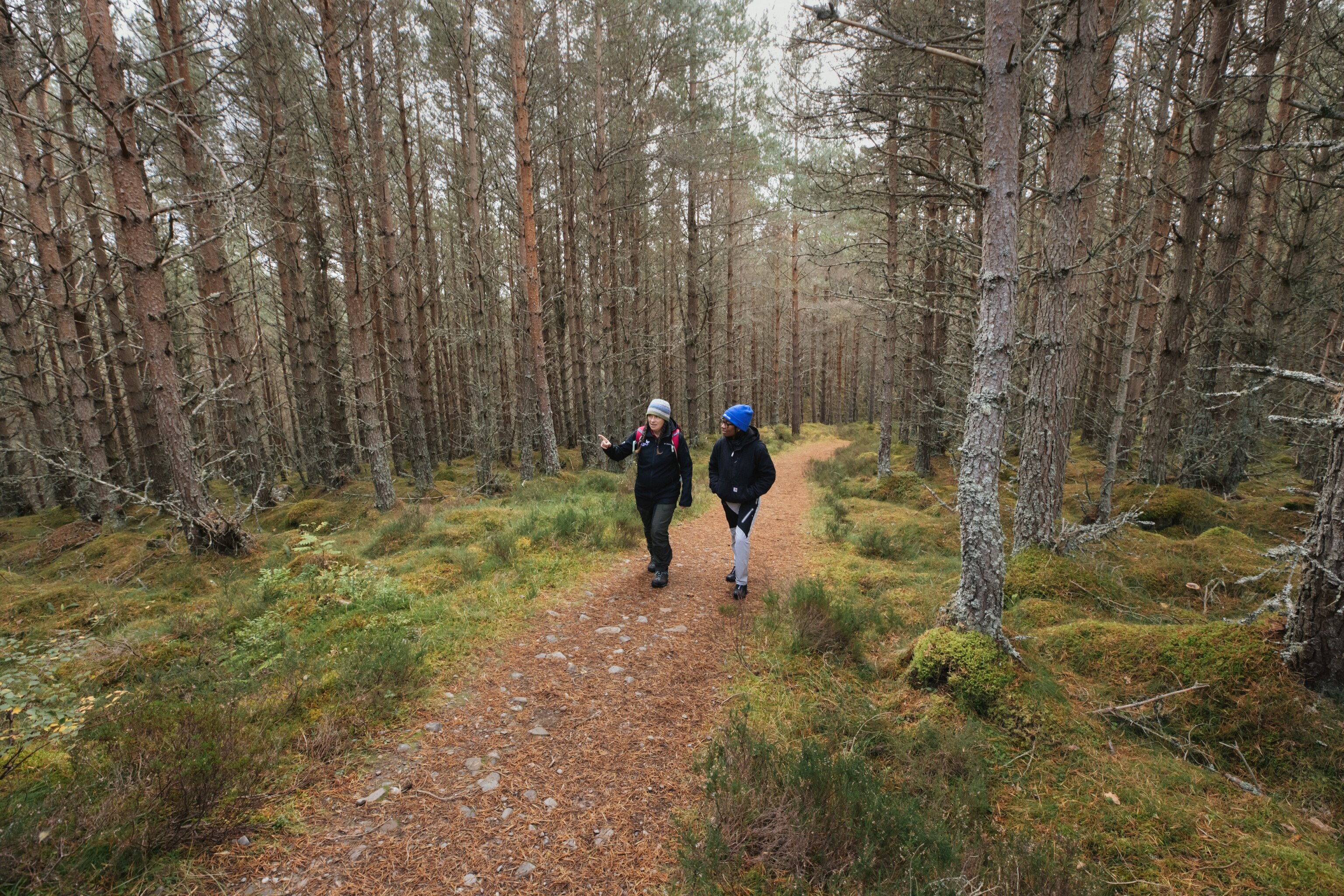 Scotland’s Storylands: Explore the living landscapes of Badenoch