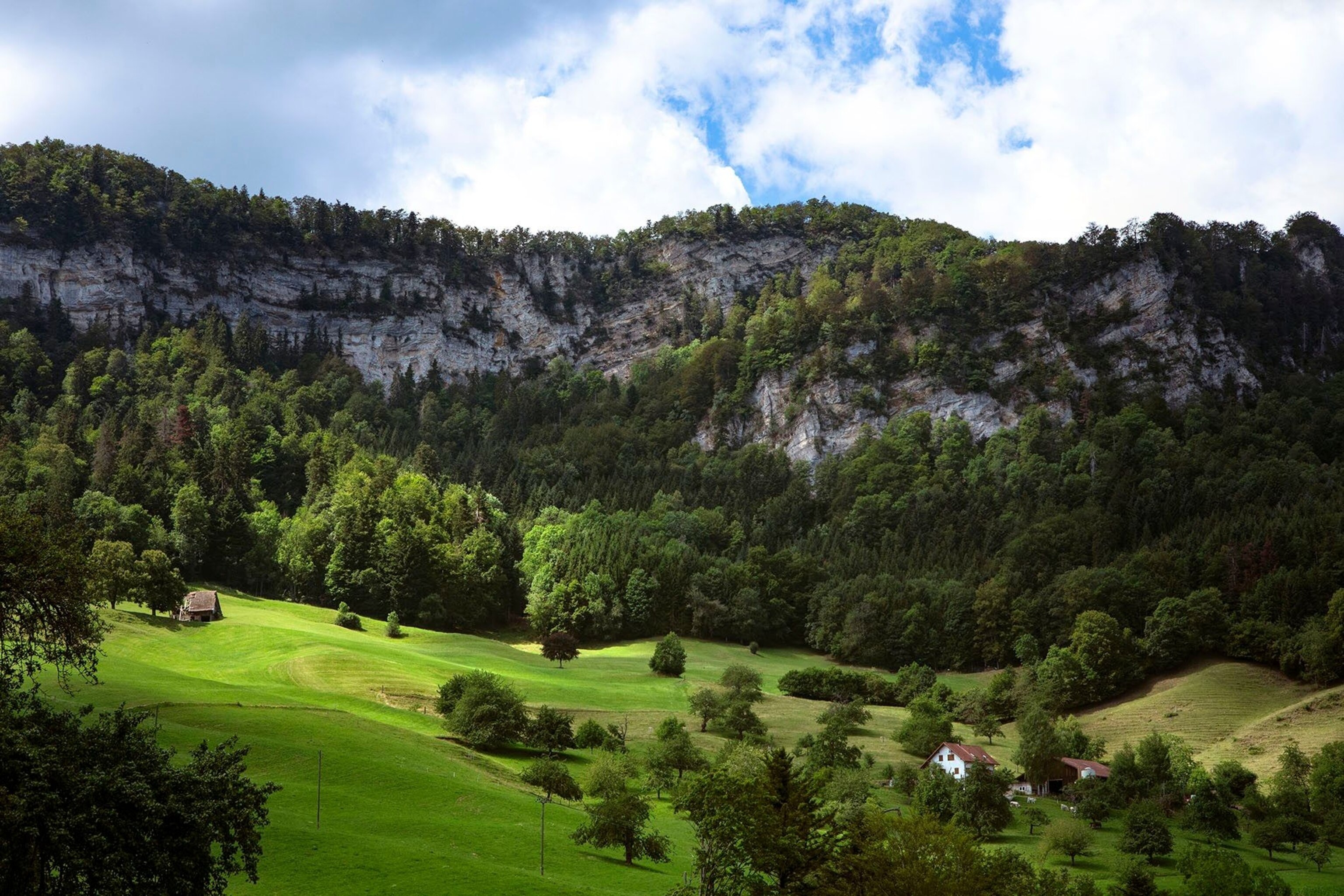 From cities to summits: how to explore Switzerland’s nature in Basel ...