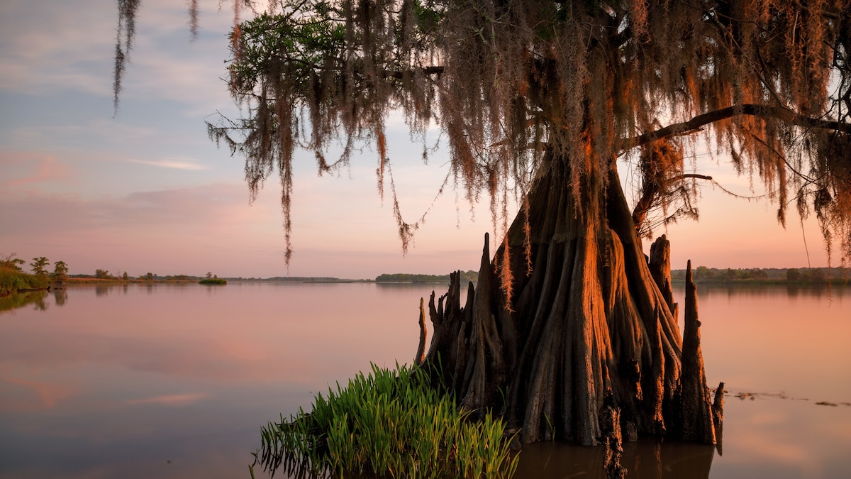 Low Country Legacy | National Geographic