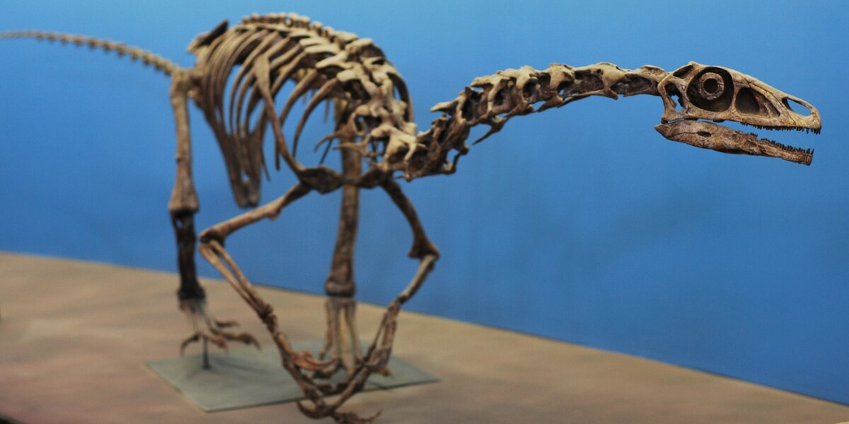 Brains of Omnivorous Dinosaurs Show Traces of Predatory Ancestry