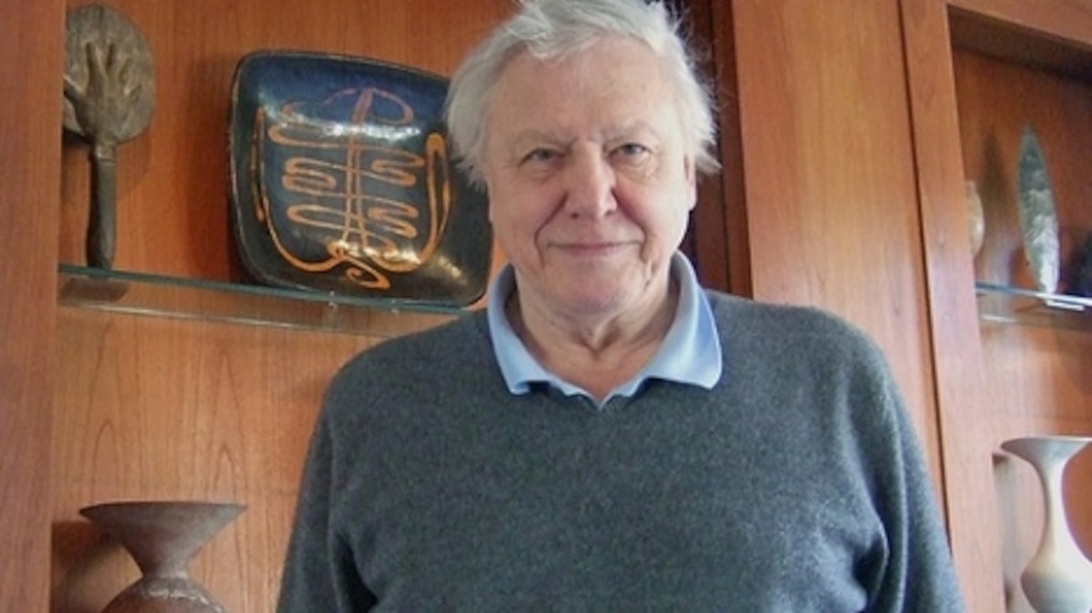 An interview with David Attenborough | National Geographic