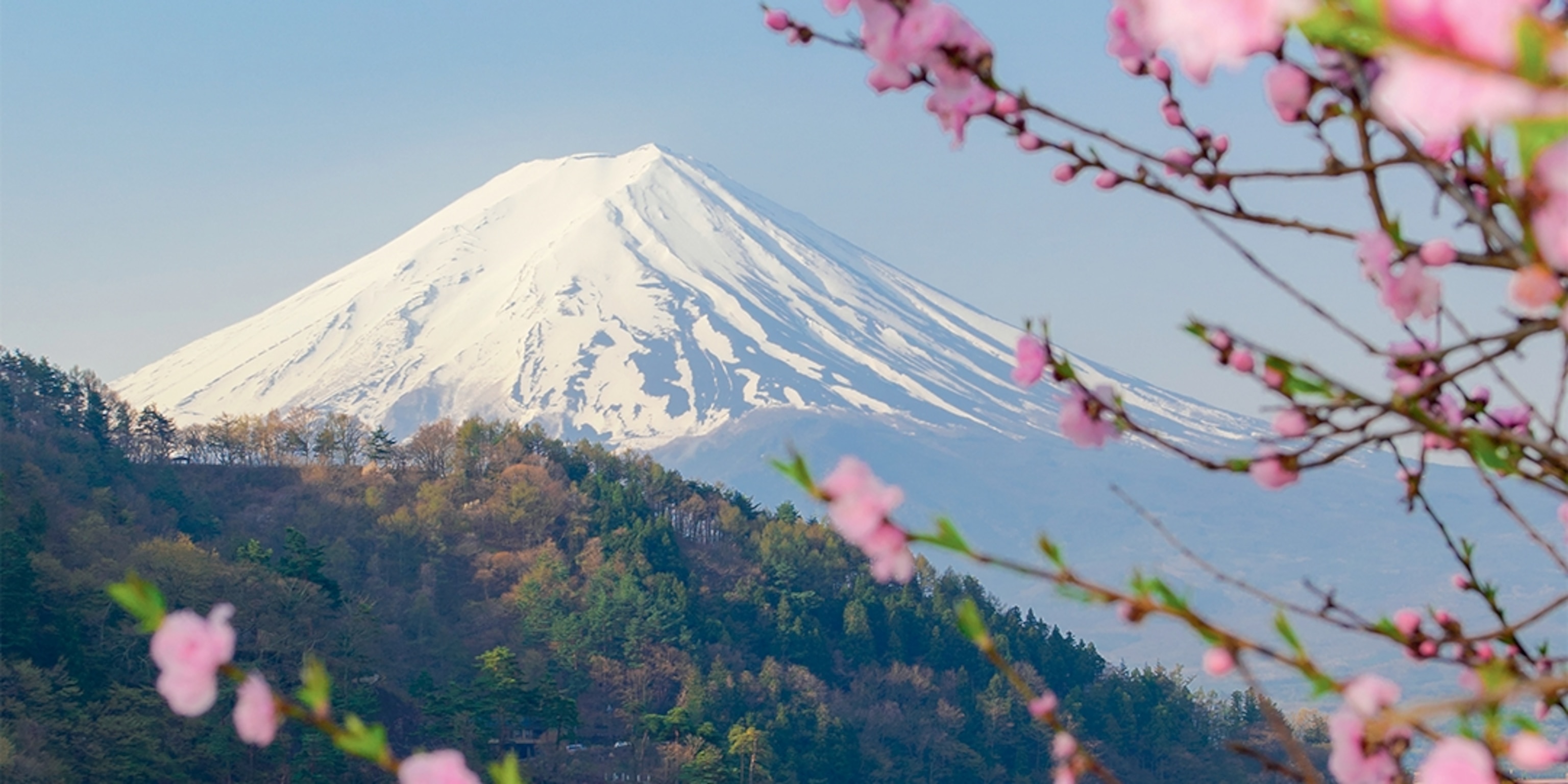 Japan Mount Fuji Mountain The Ultimate Mt. Fuji Travel Guide