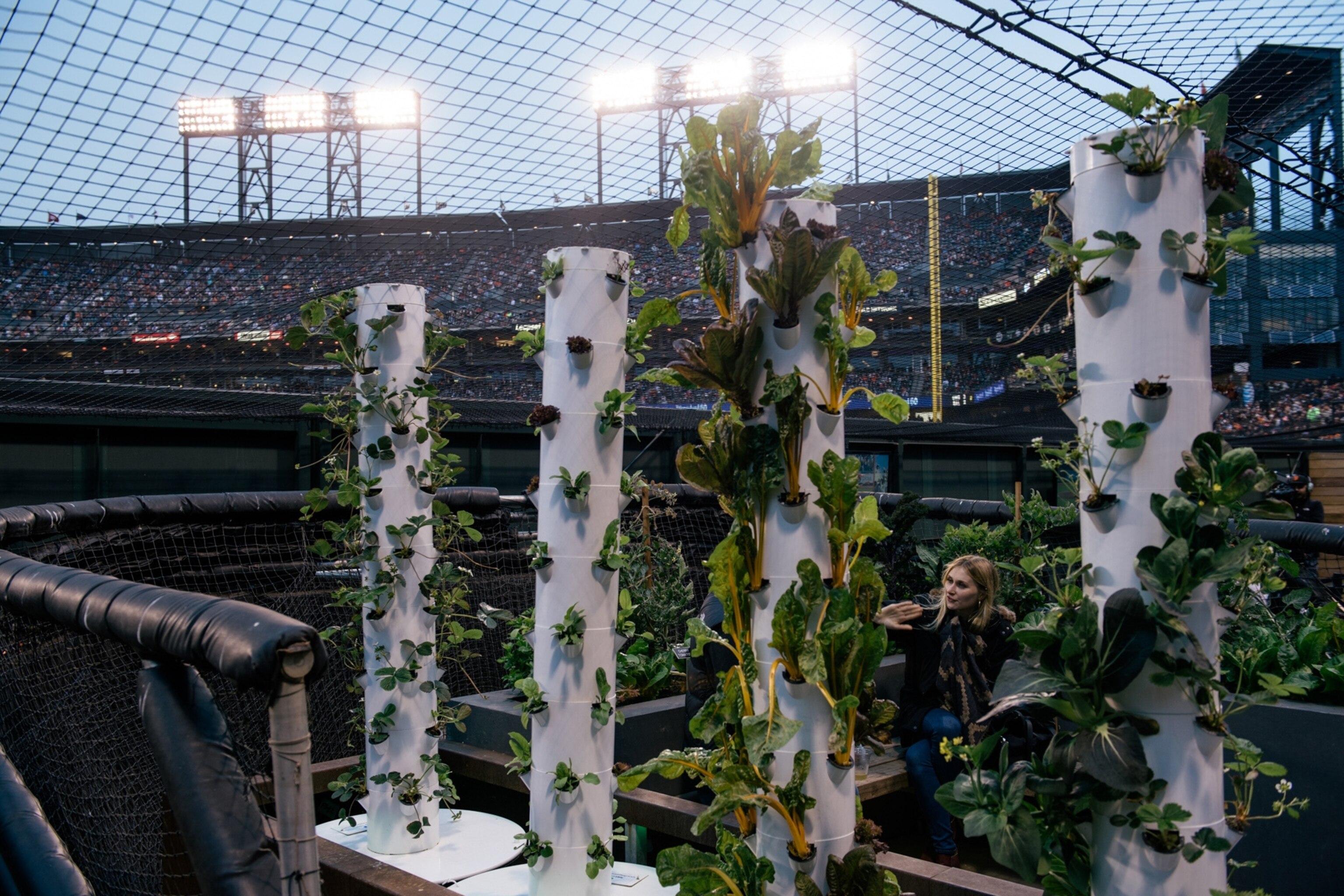 An Emerging Photographer Grows His Craft on Urban Farms