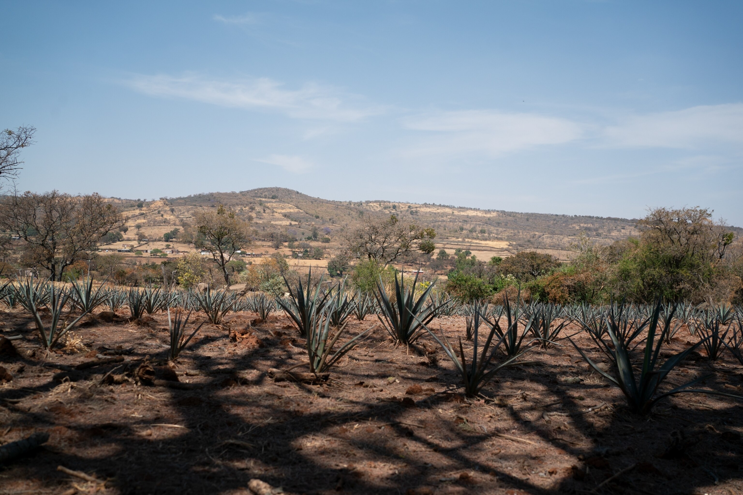 These families lead double lives across the U.S.-Mexico border
