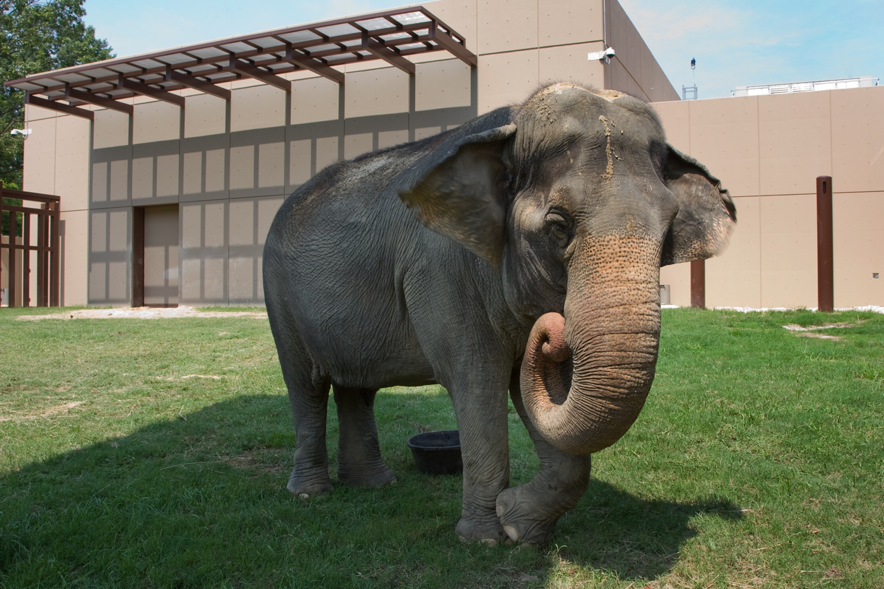 Pictures: Seven Energy-Smart Zoos and Aquariums