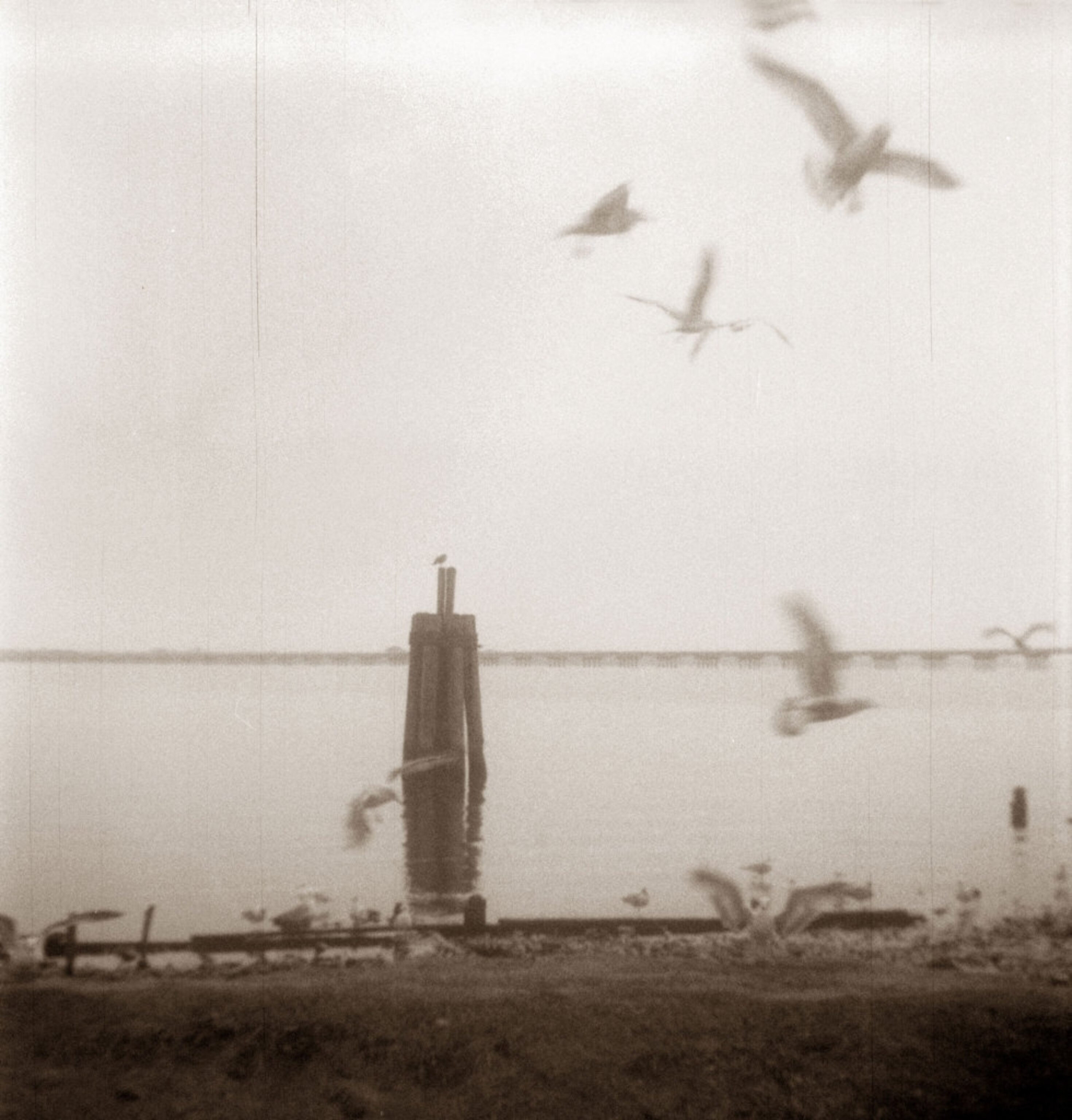 The Story of Flight Told in One Roll of Film | National Geographic