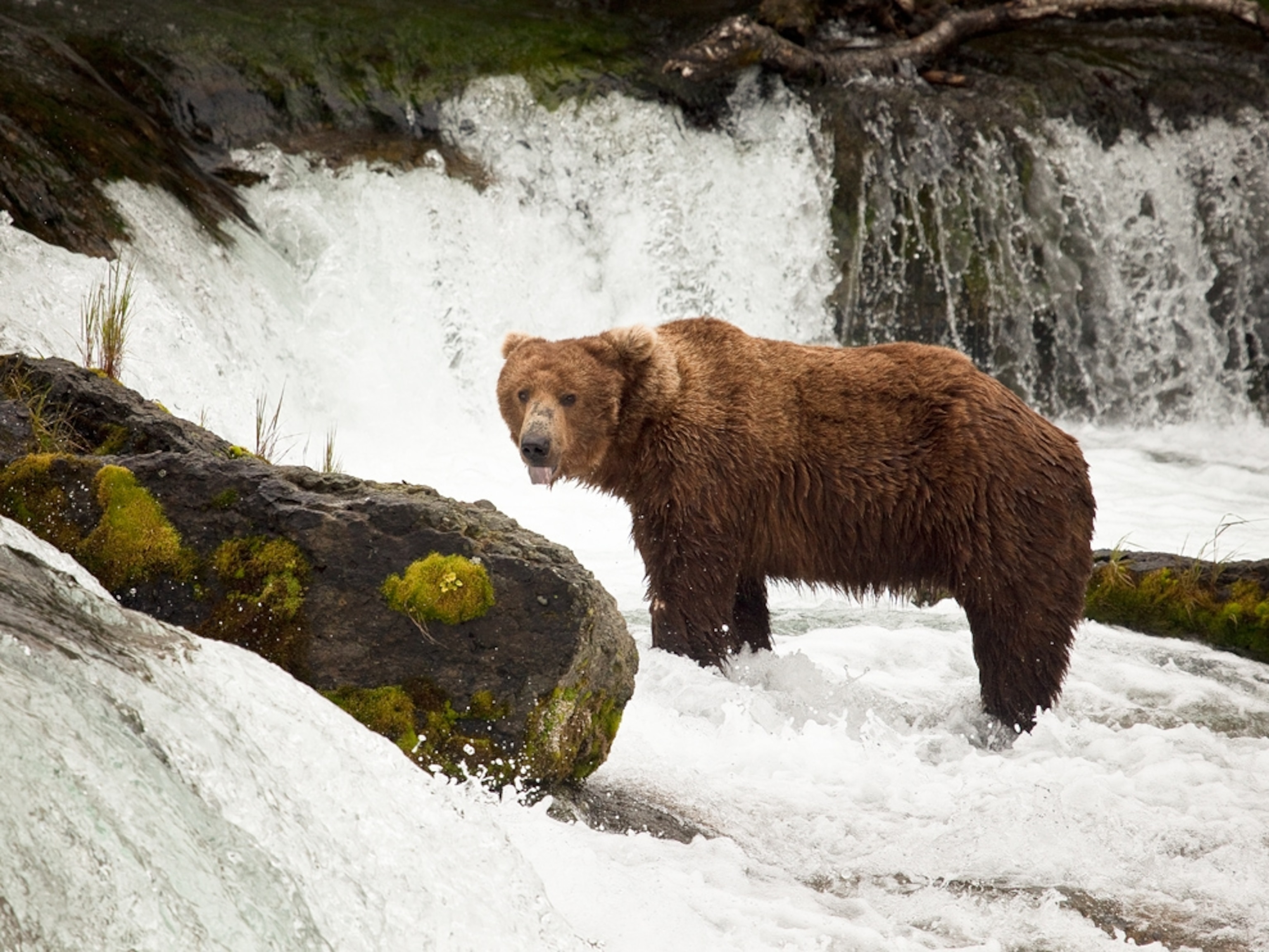Pictures: America’s Top 10 Endangered Rivers
