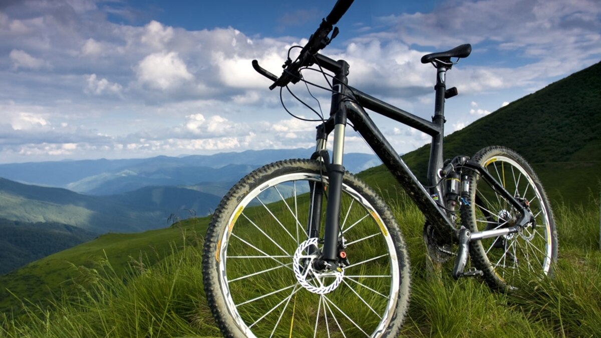 Buying Guide - Bik Shopping Tips - National Geographic's Green Guide ...