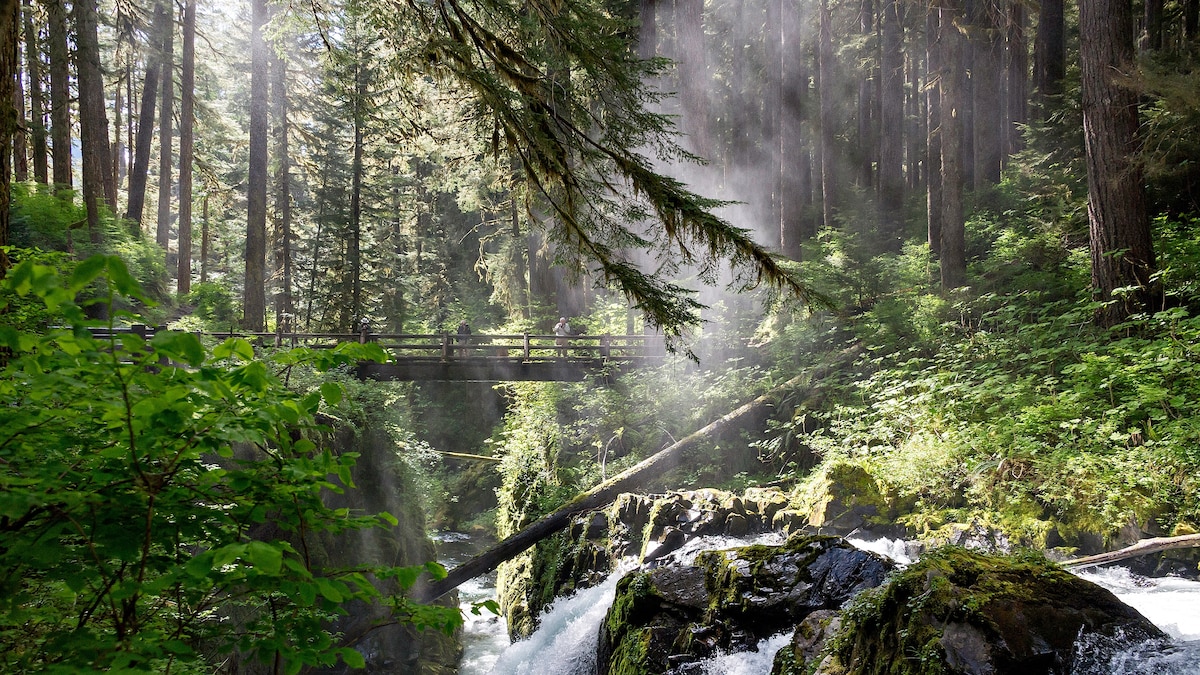 Best Spring Trips 2017 | National Geographic