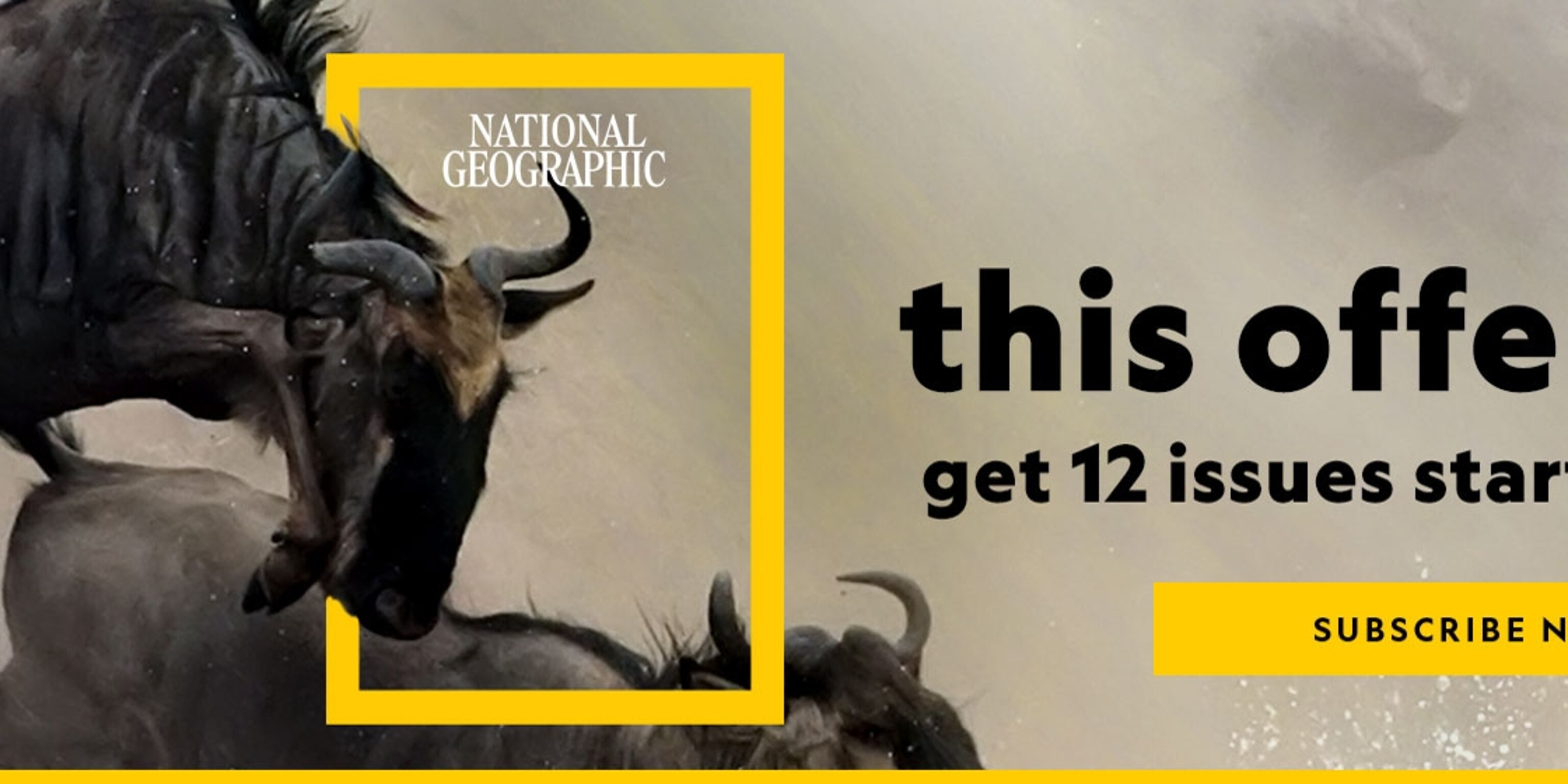 National Geographic Symbol