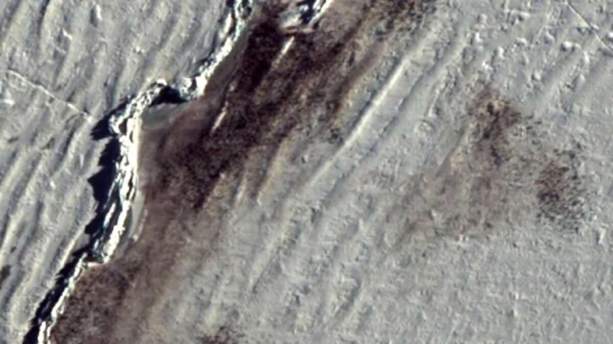 Emperor Penguins Counted From Space—A First | National Geographic