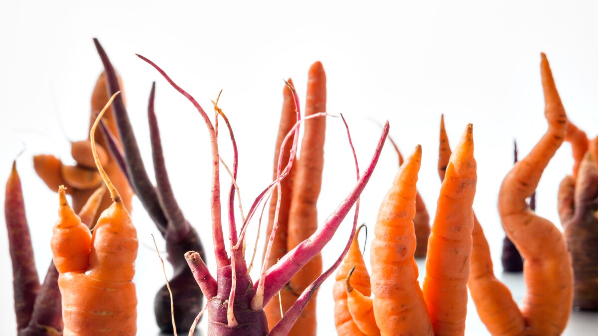 Share Your Photos: #UglyFoodIsBeautiful | National Geographic