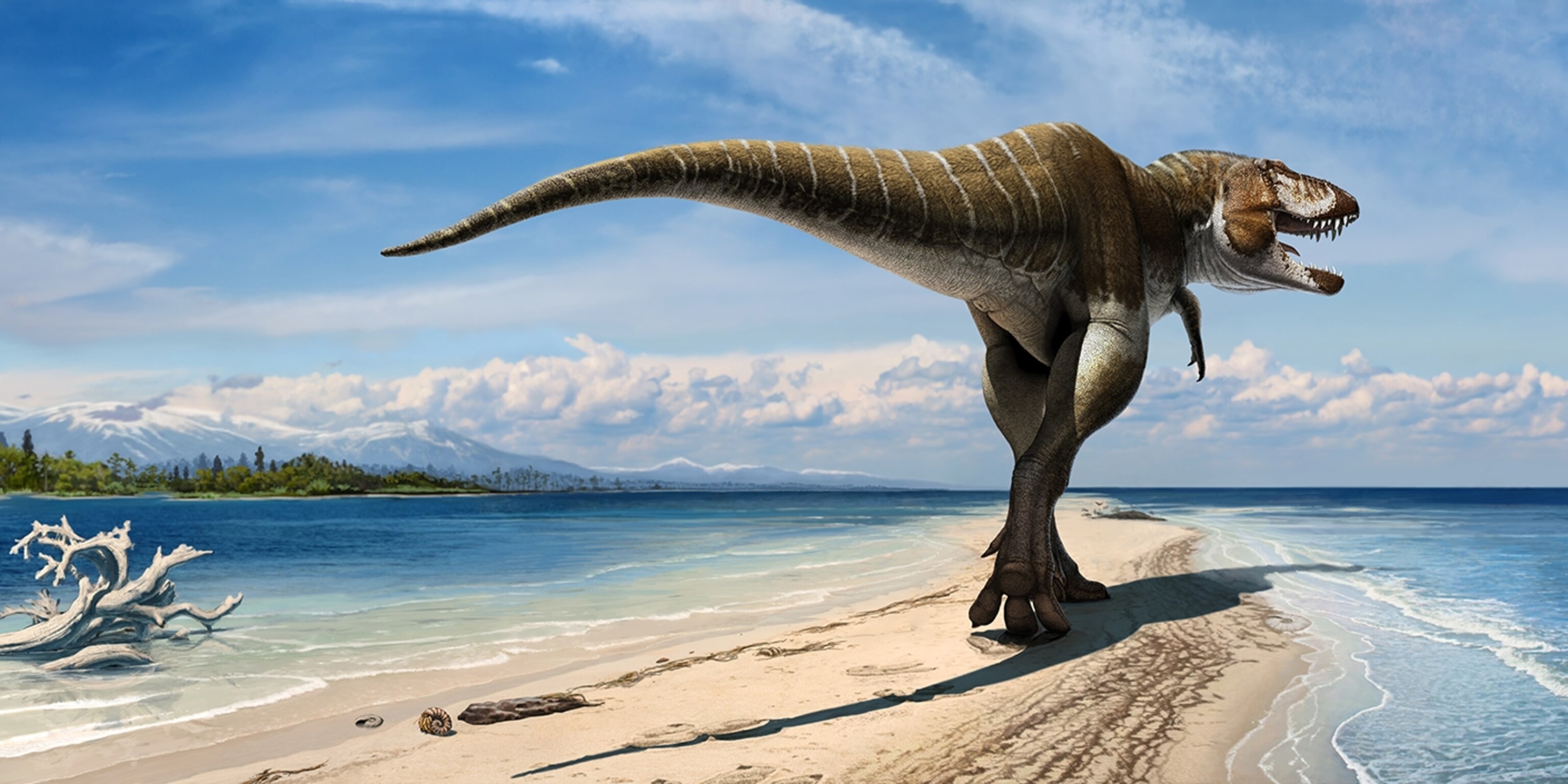 All Hail the “Gore King”