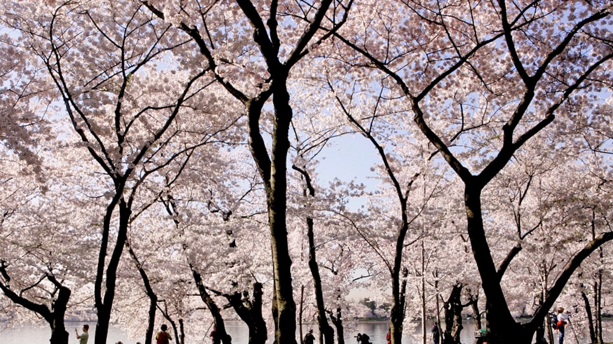 Best Spring Trips 2012 -- National Geographic | National Geographic