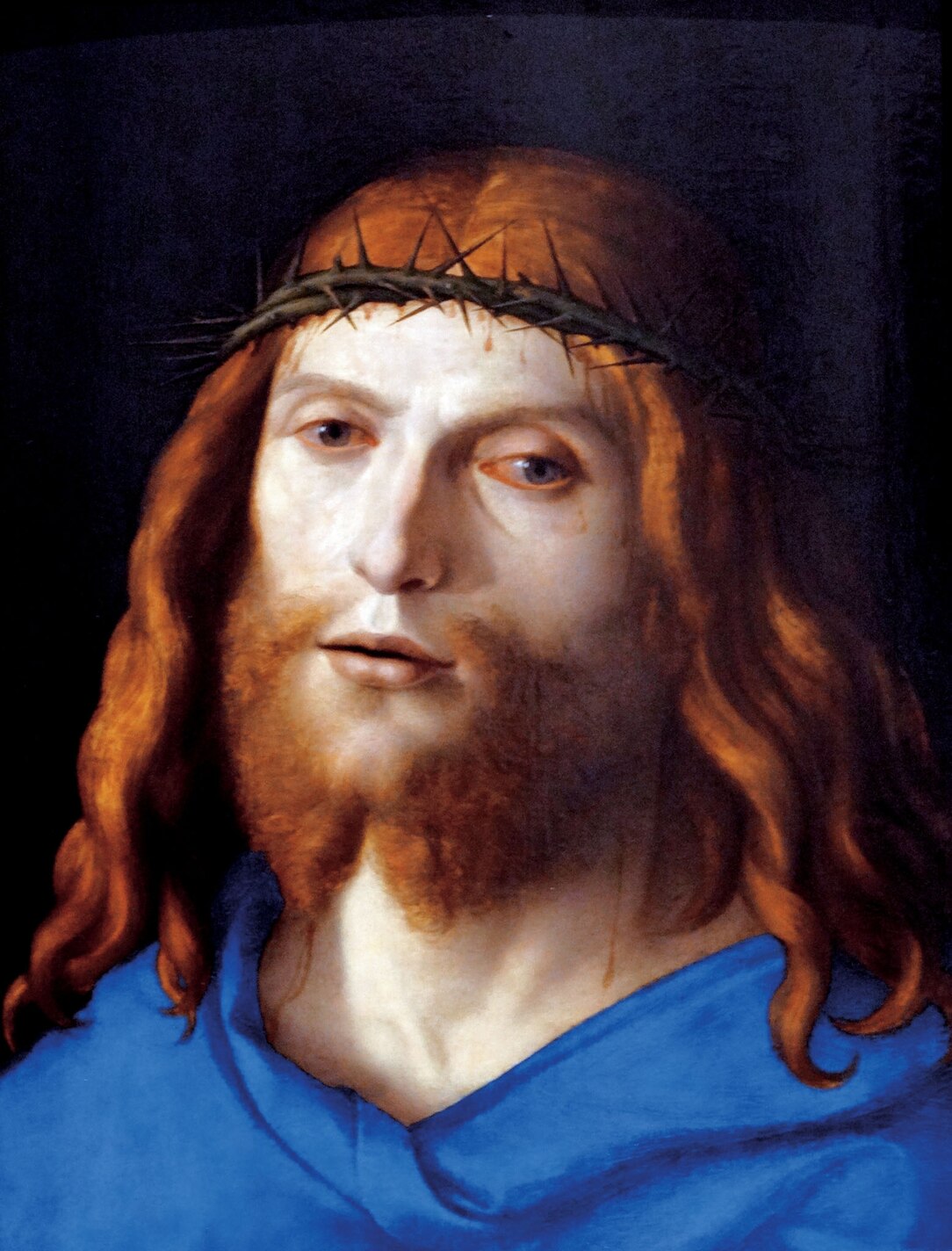 Real Face Of Jesus National Geographic