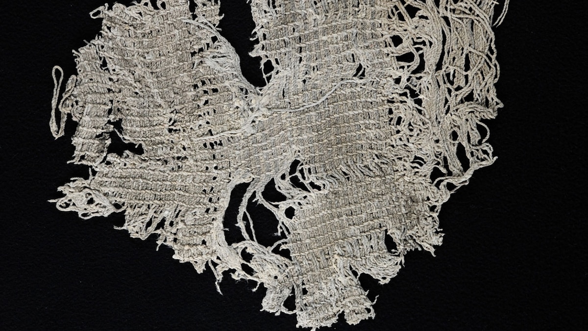 The Super-Ancient Origins of Your Blue Jeans | National Geographic