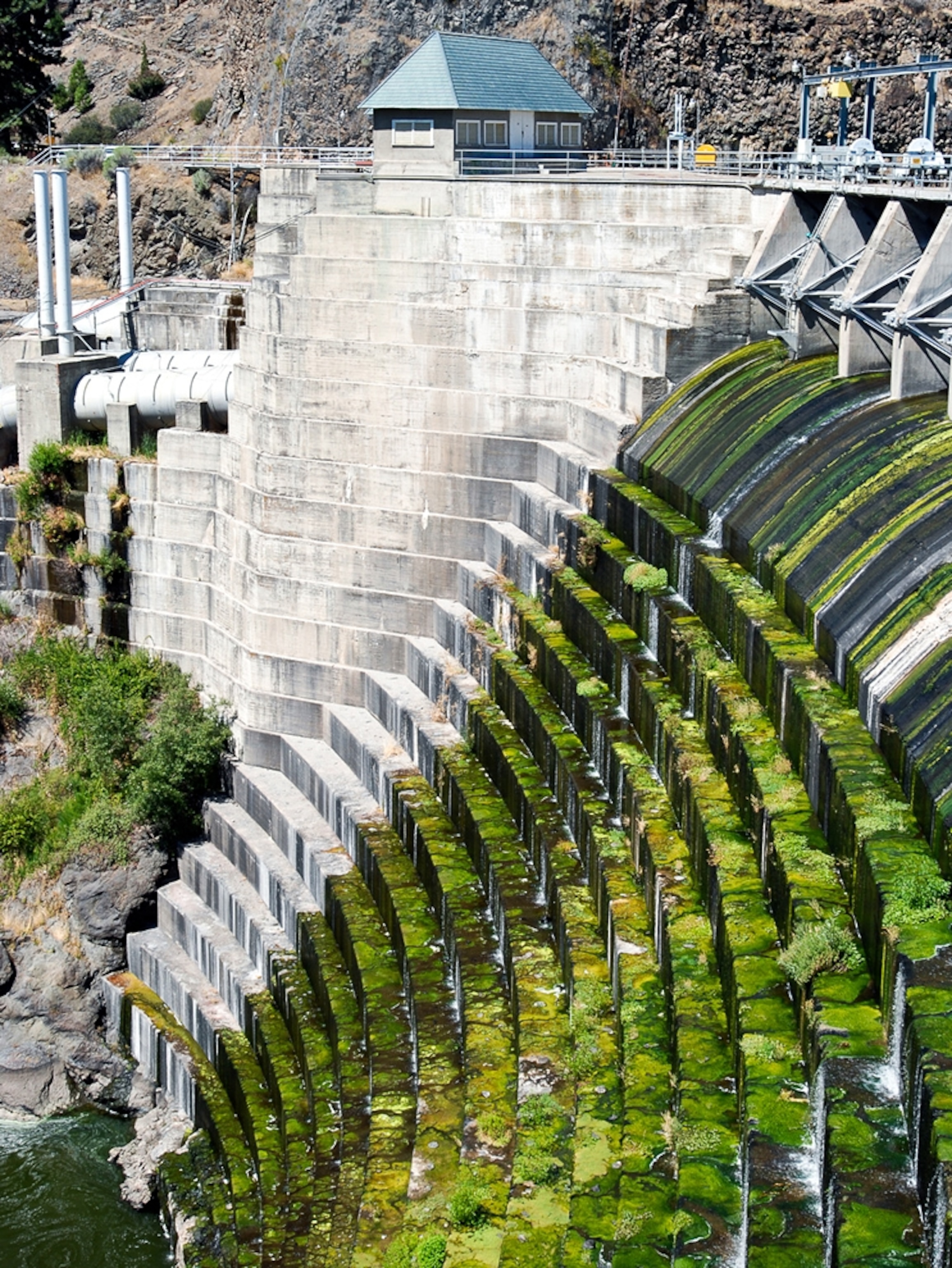Will Dam Removal in the West Restore Salmon?