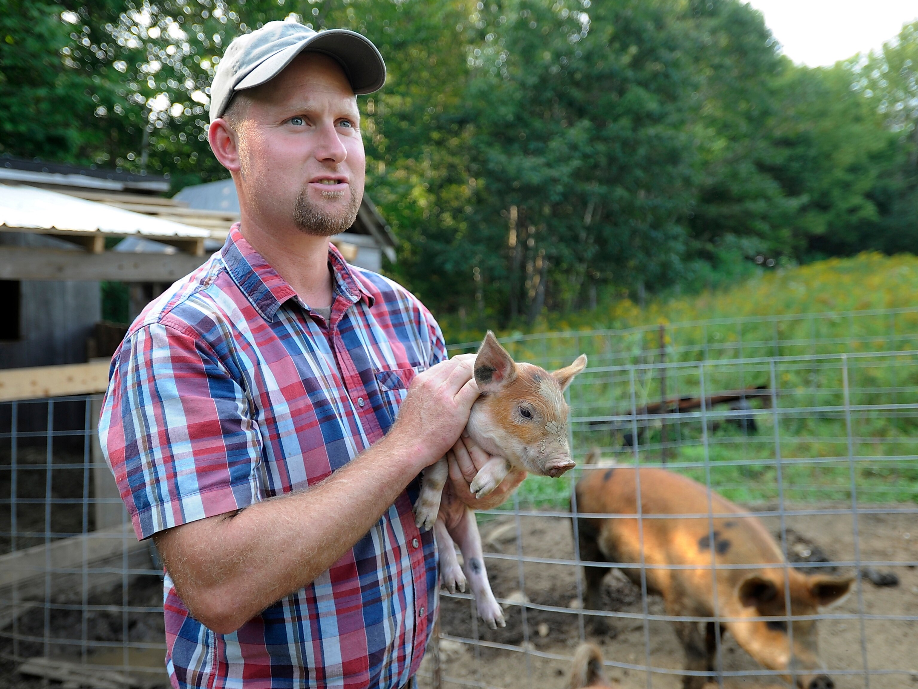 Nonprofits Train Veterans For a New Challenge: Farming