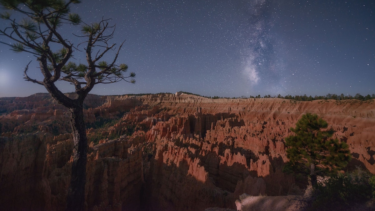 The best night-sky apps, according to park rangers and aurora chasers ...