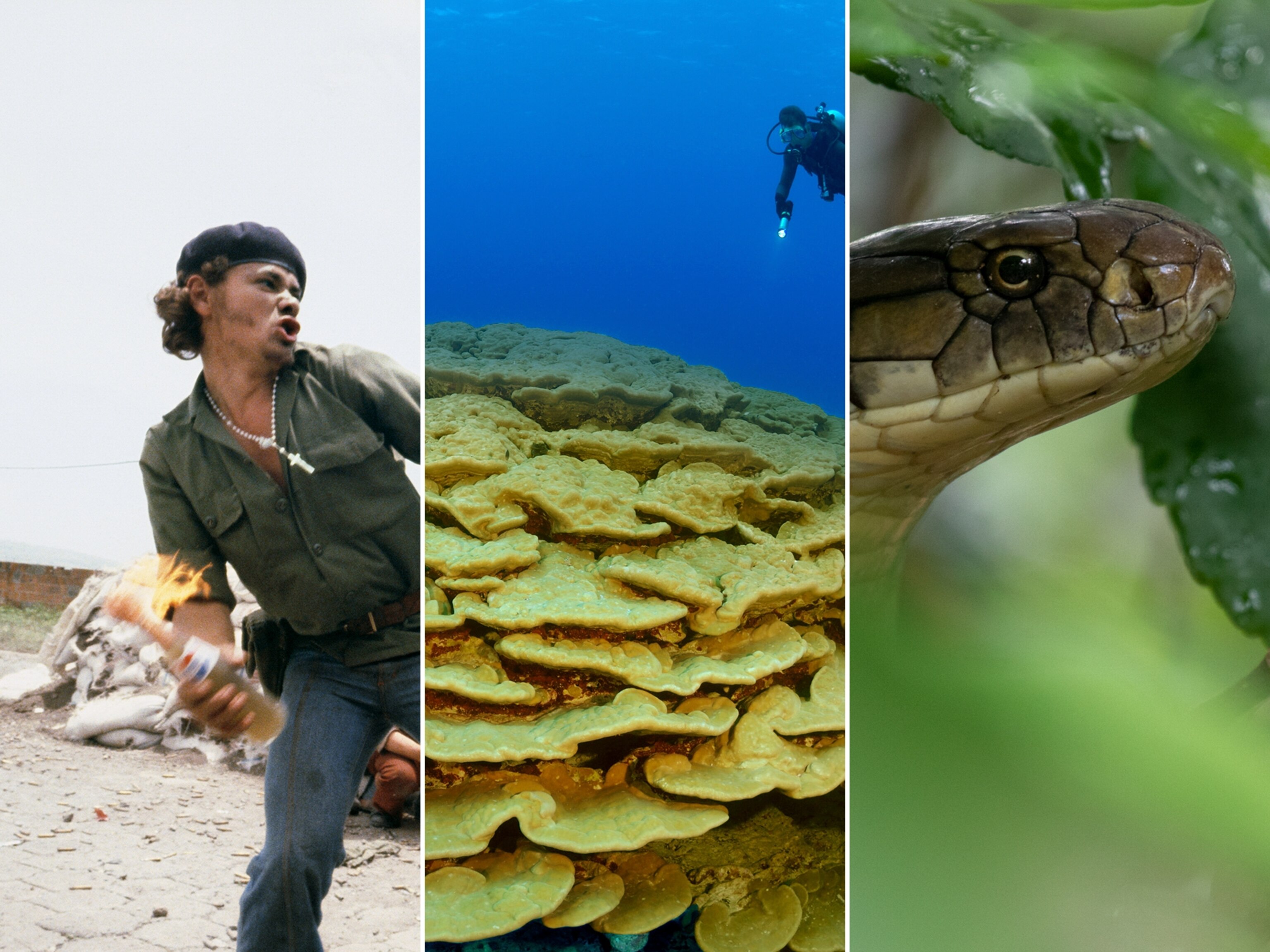 Nat Geo's Weekly News Quiz: February 9, 2022