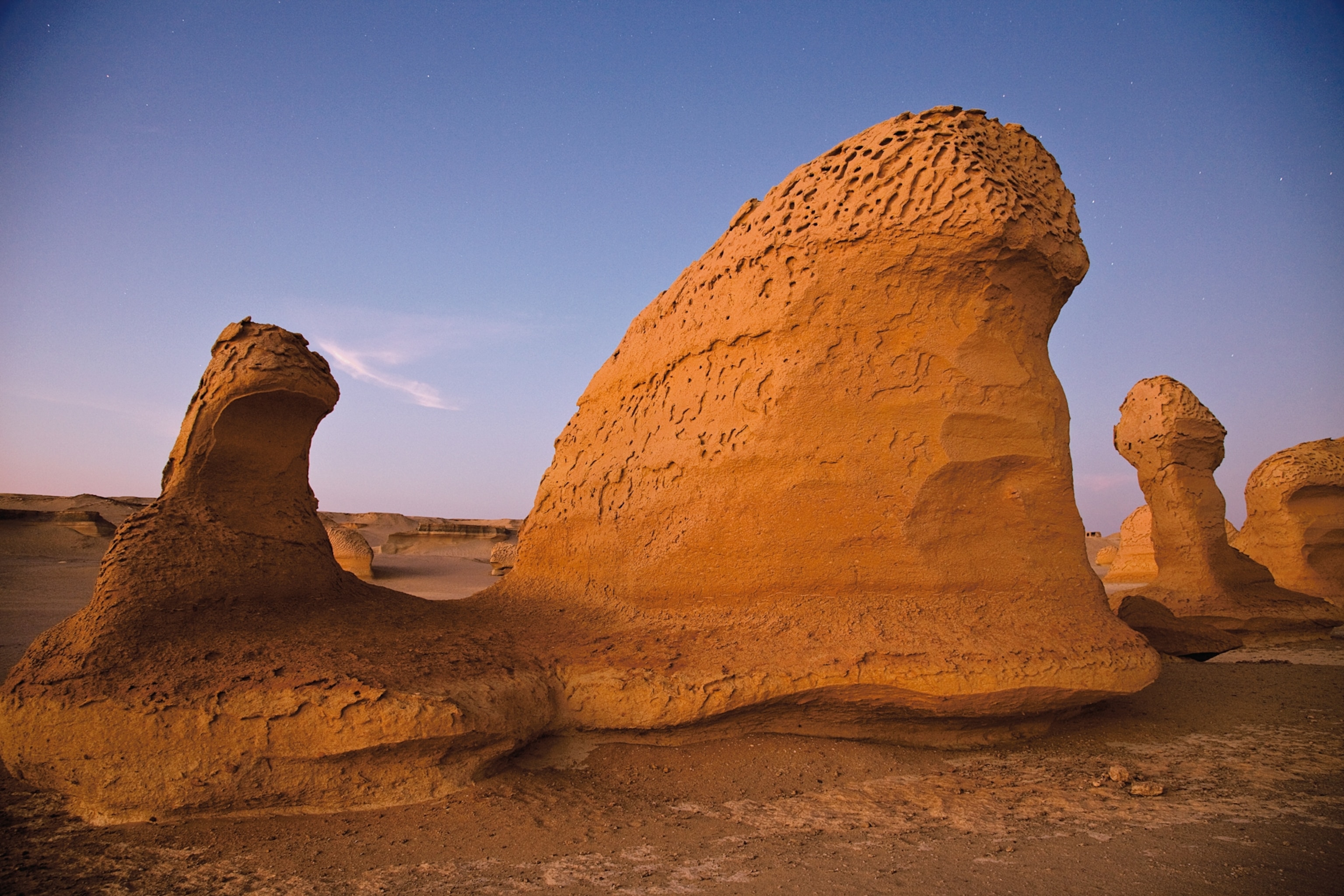 Valley of the Whales