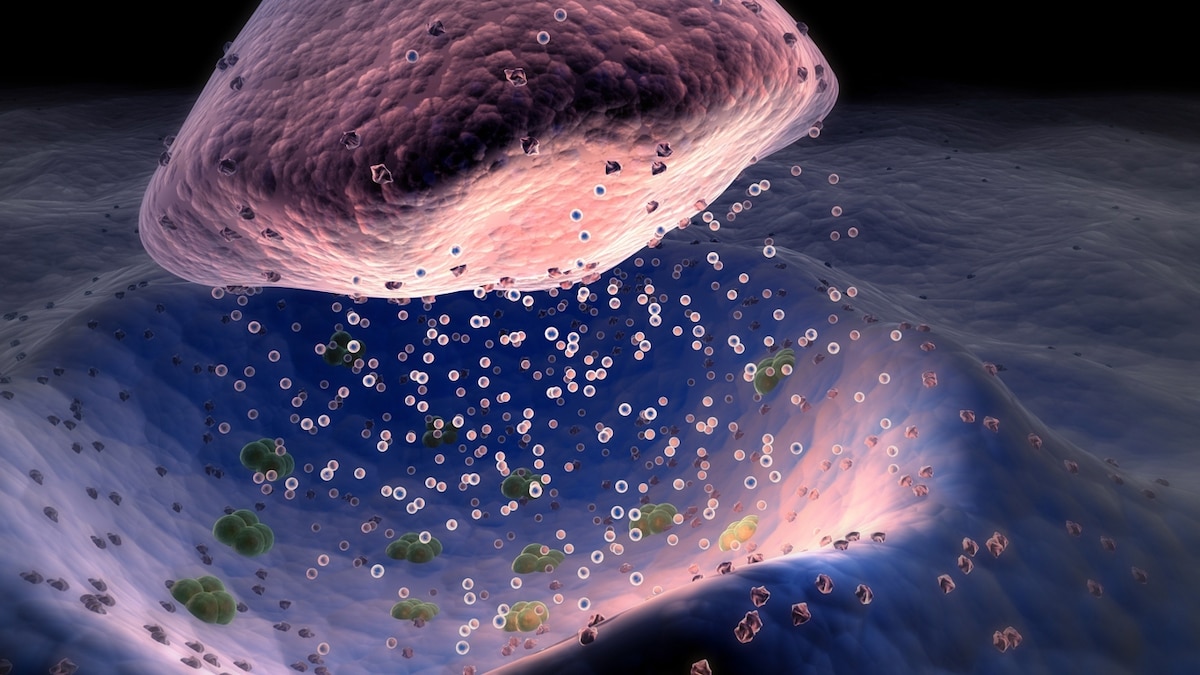 Here's what dopamine, the 'happy hormone,' actually does | National ...