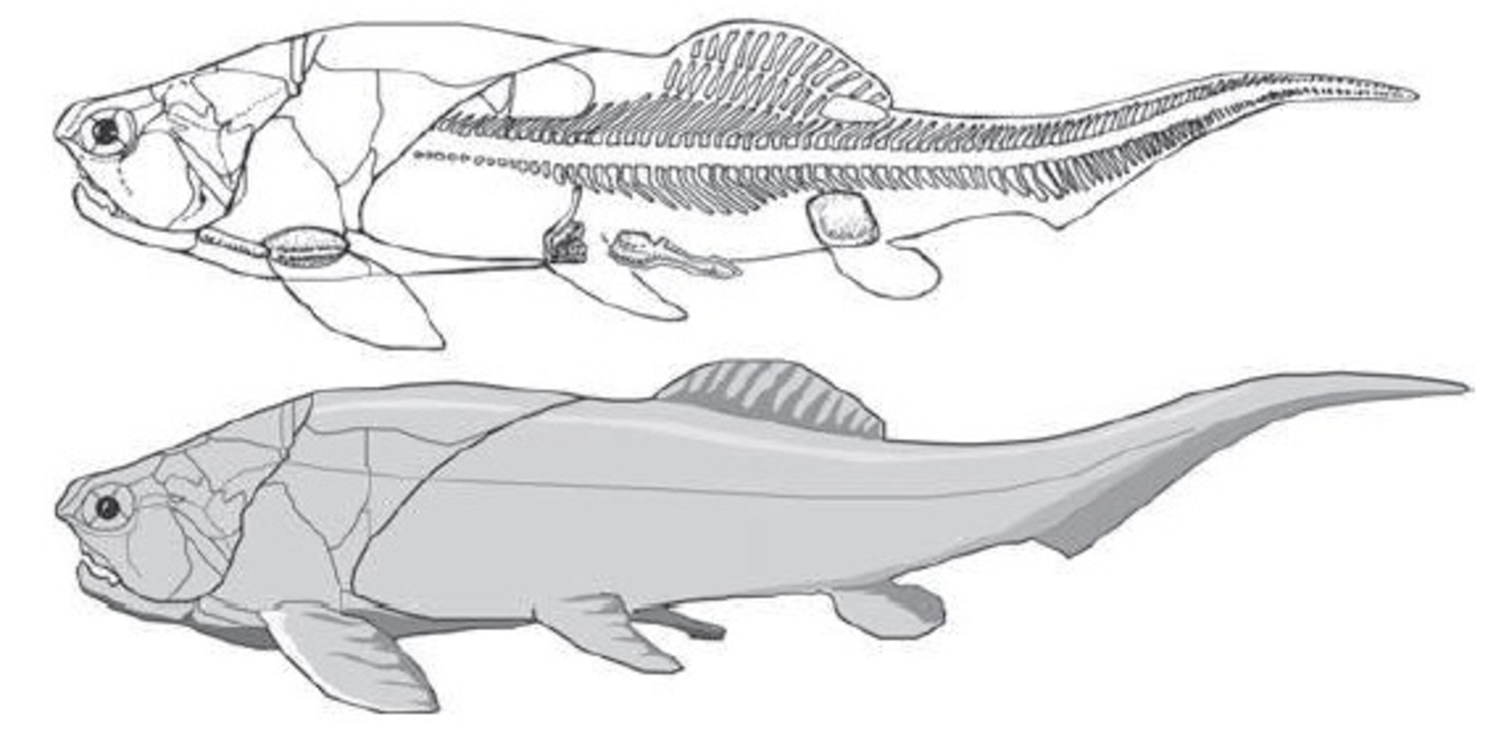 Sex, the Early Years