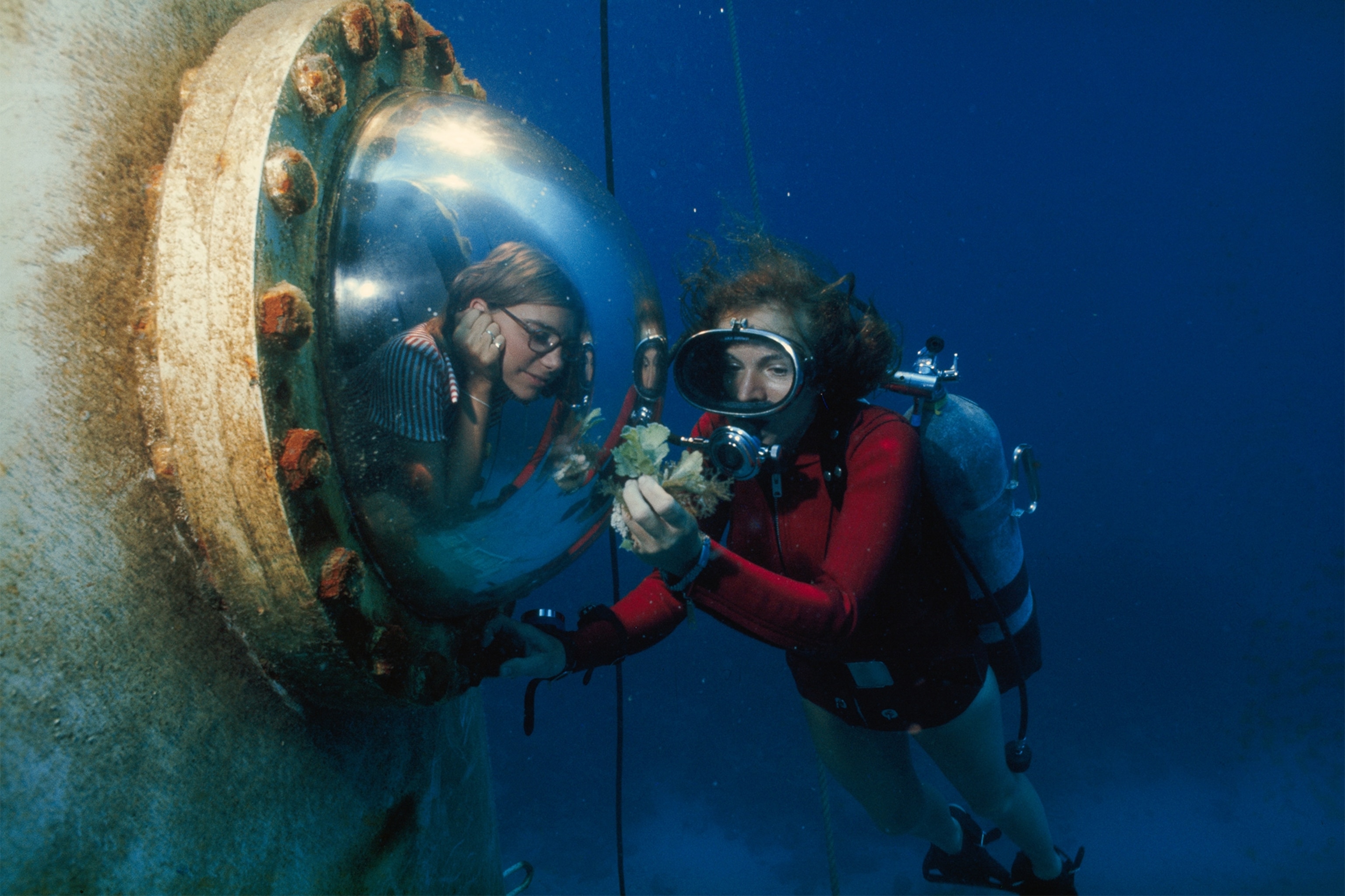 Q&A: Sylvia Earle’s Personal Journey and Why the Ocean is Vital to Life