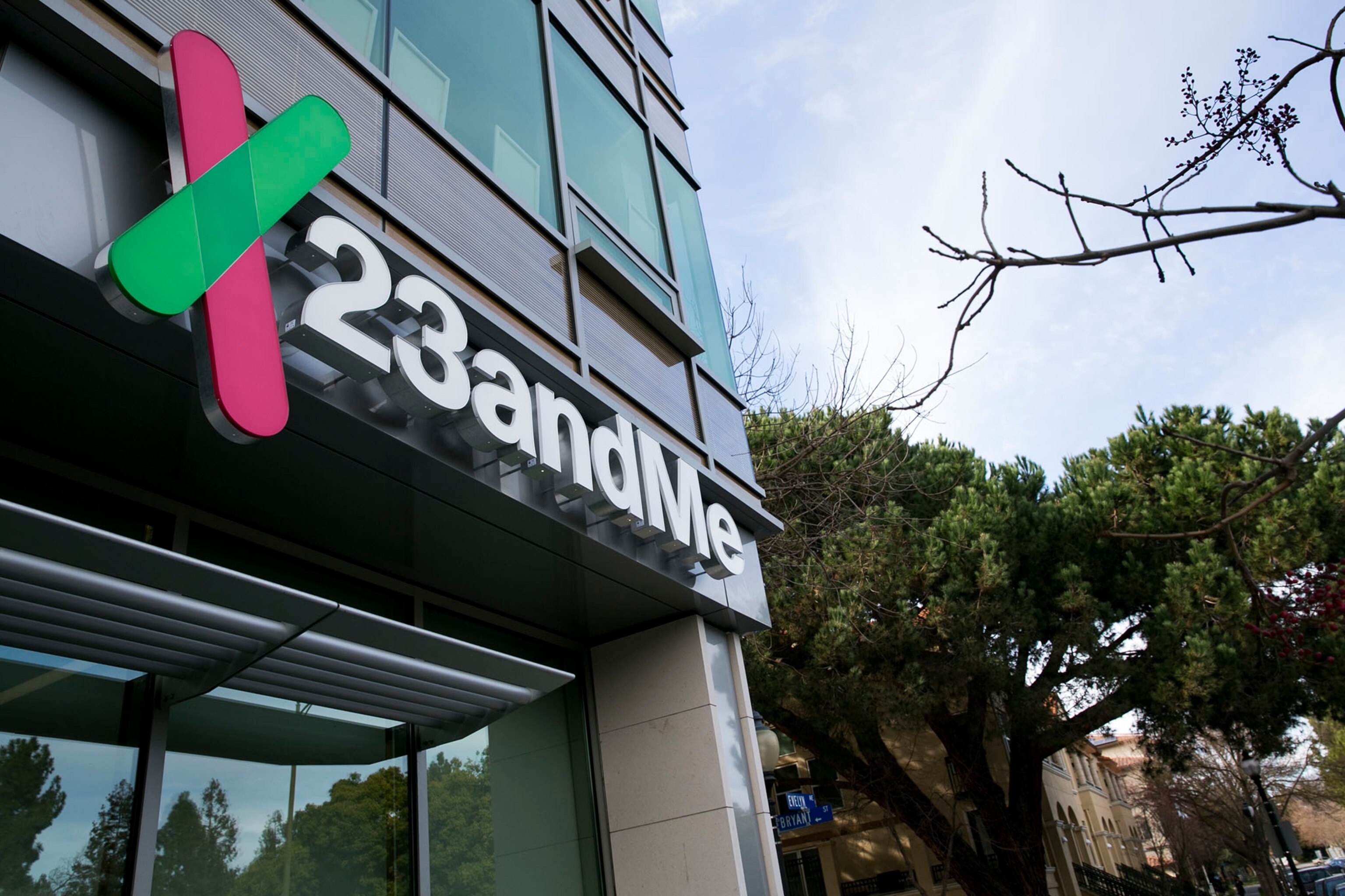 Why Siblings Can Get Different Results From DNA Ancestry Tests