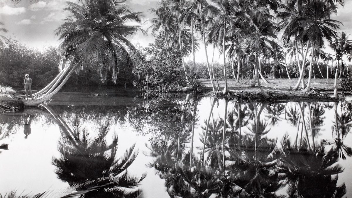 In Hurricane Maria's Aftermath, Photos Show Puerto Rico 100 Years Ago ...